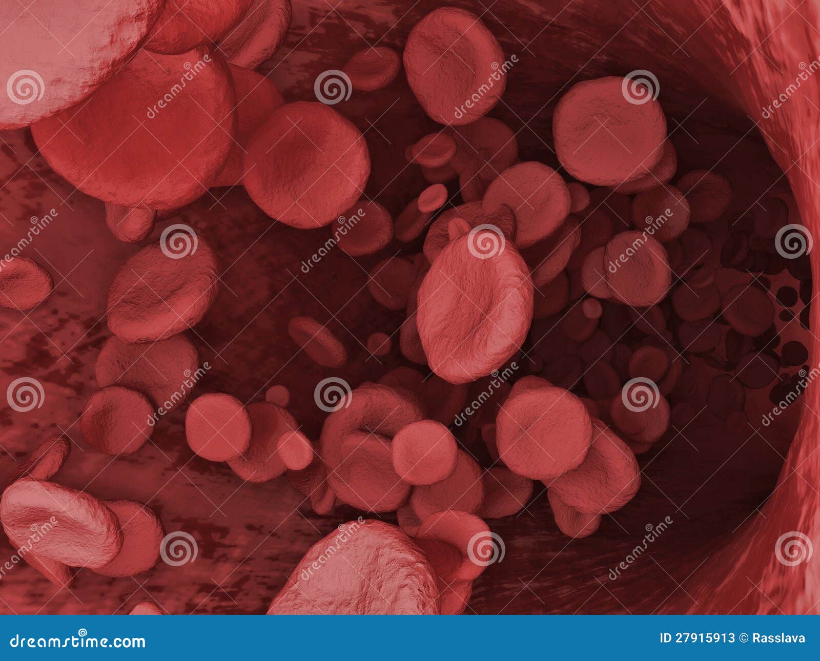 Globules Rouges Traversant La Veine Illustration Stock - Illustration ...