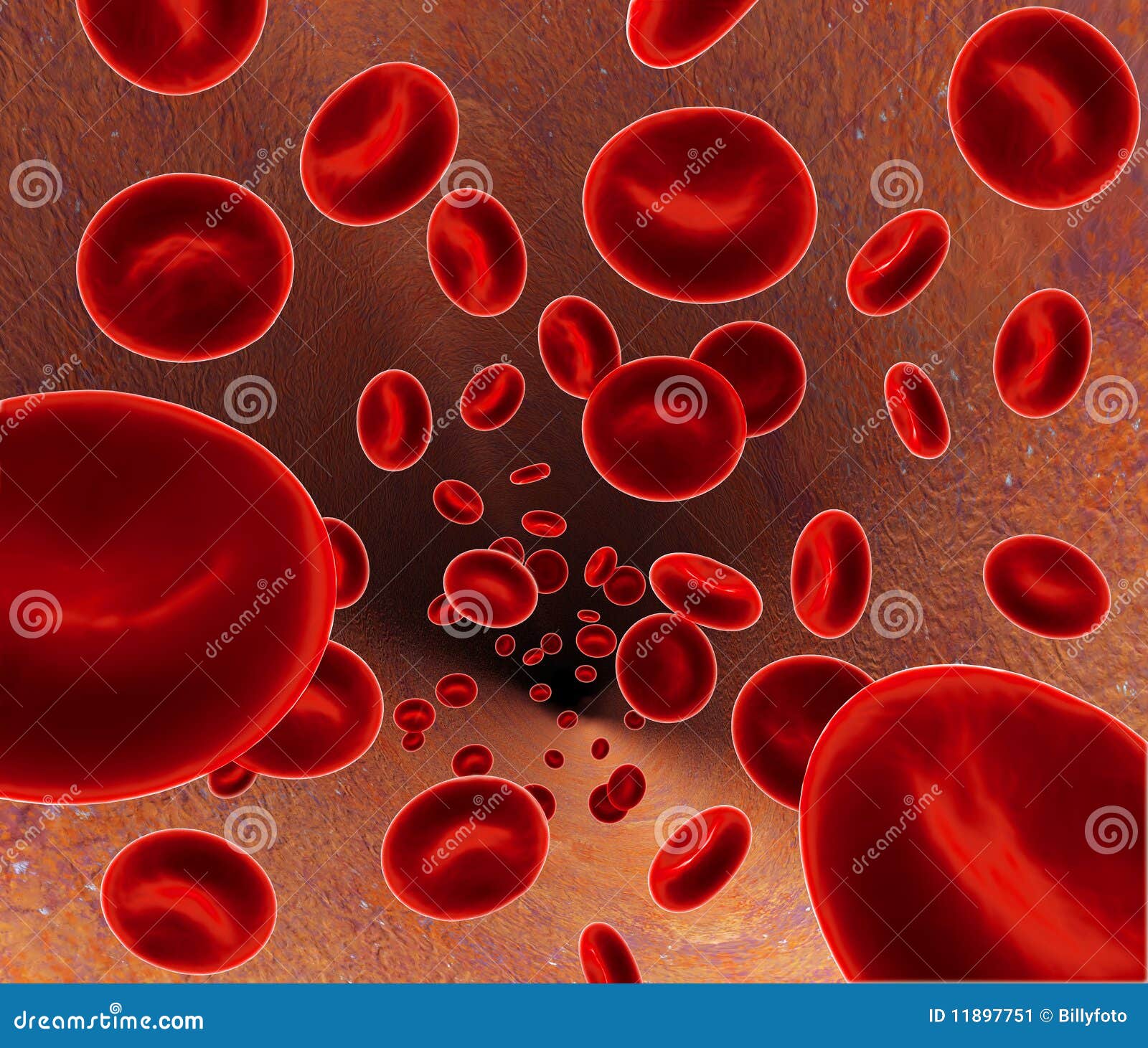 Globules sanguins illustration stock. Illustration du circuler - 11897751