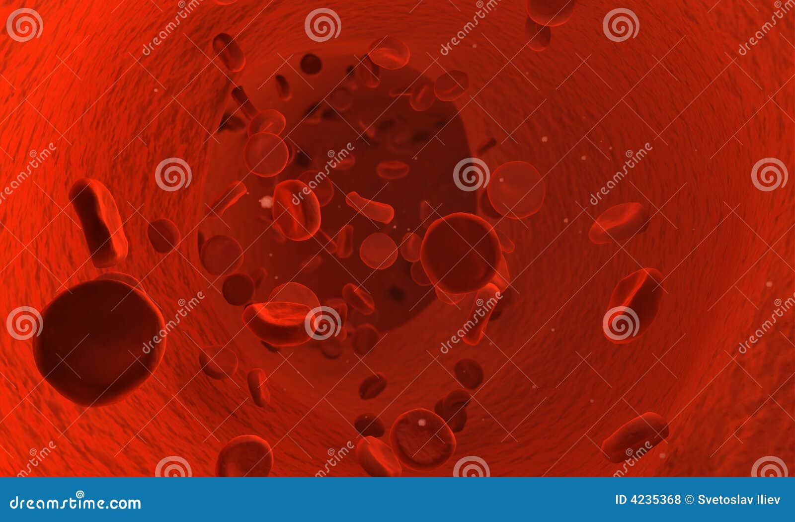 Globules sanguins photo stock. Image du anatomique, humain - 4235368