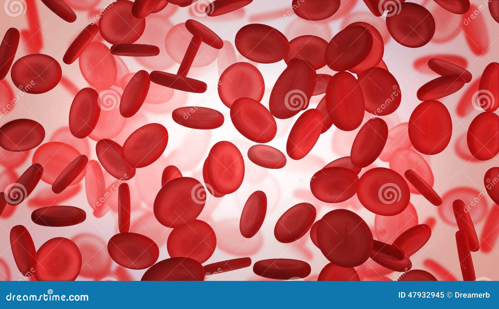 Globules sanguins illustration stock. Illustration du cellules - 47932945