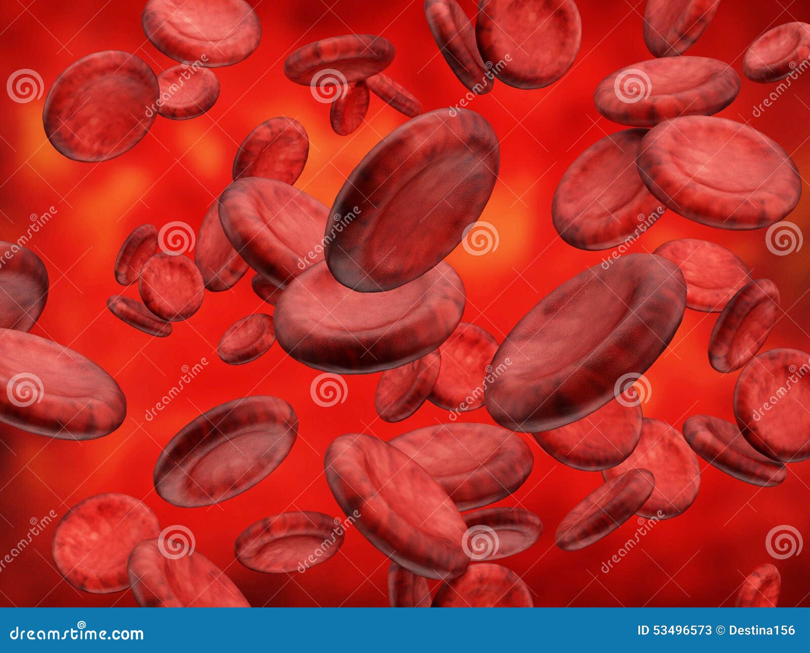 Globules sanguins illustration stock. Illustration du plaquette - 53496573