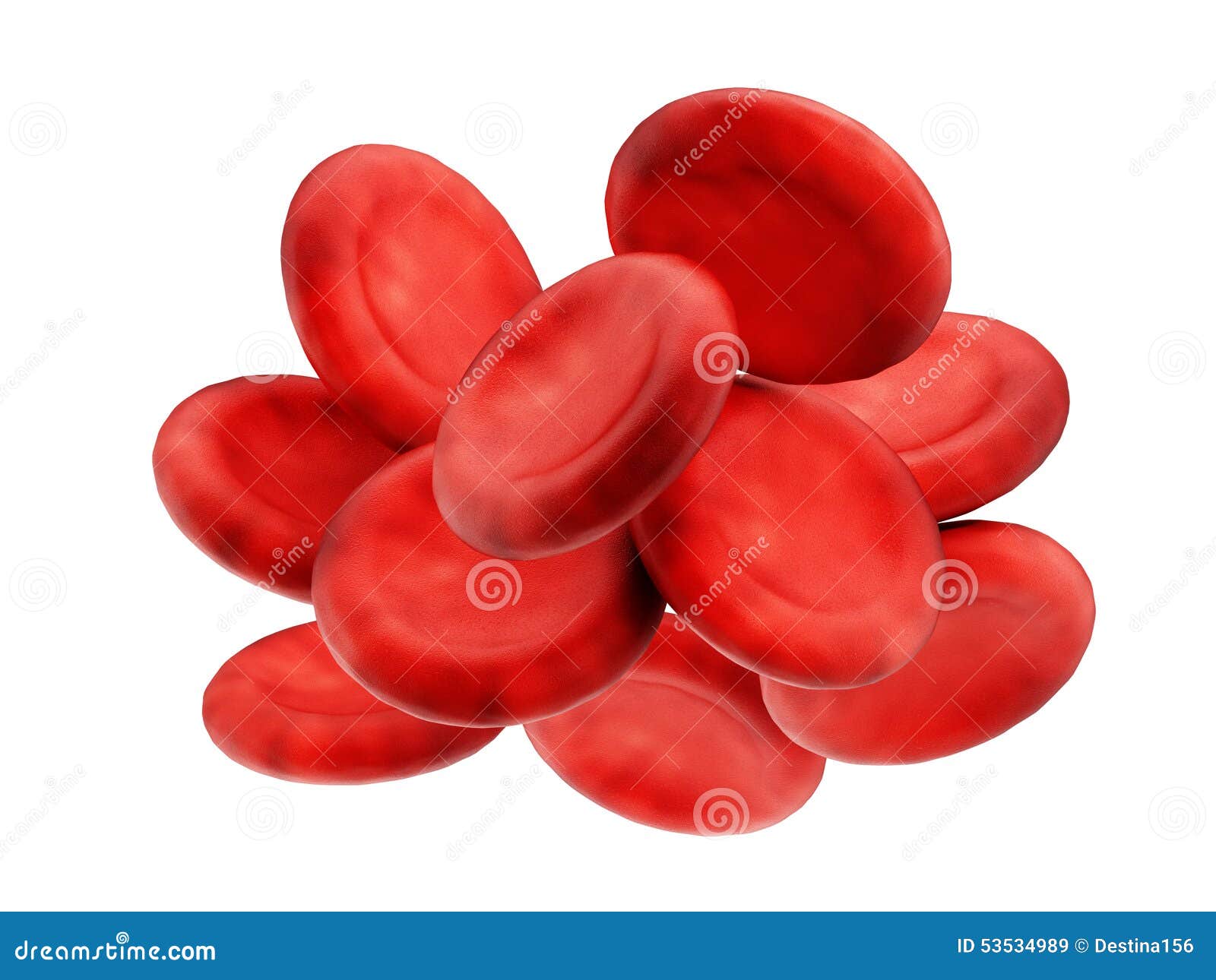 Globules sanguins illustration stock. Illustration du vasculaire - 53534989