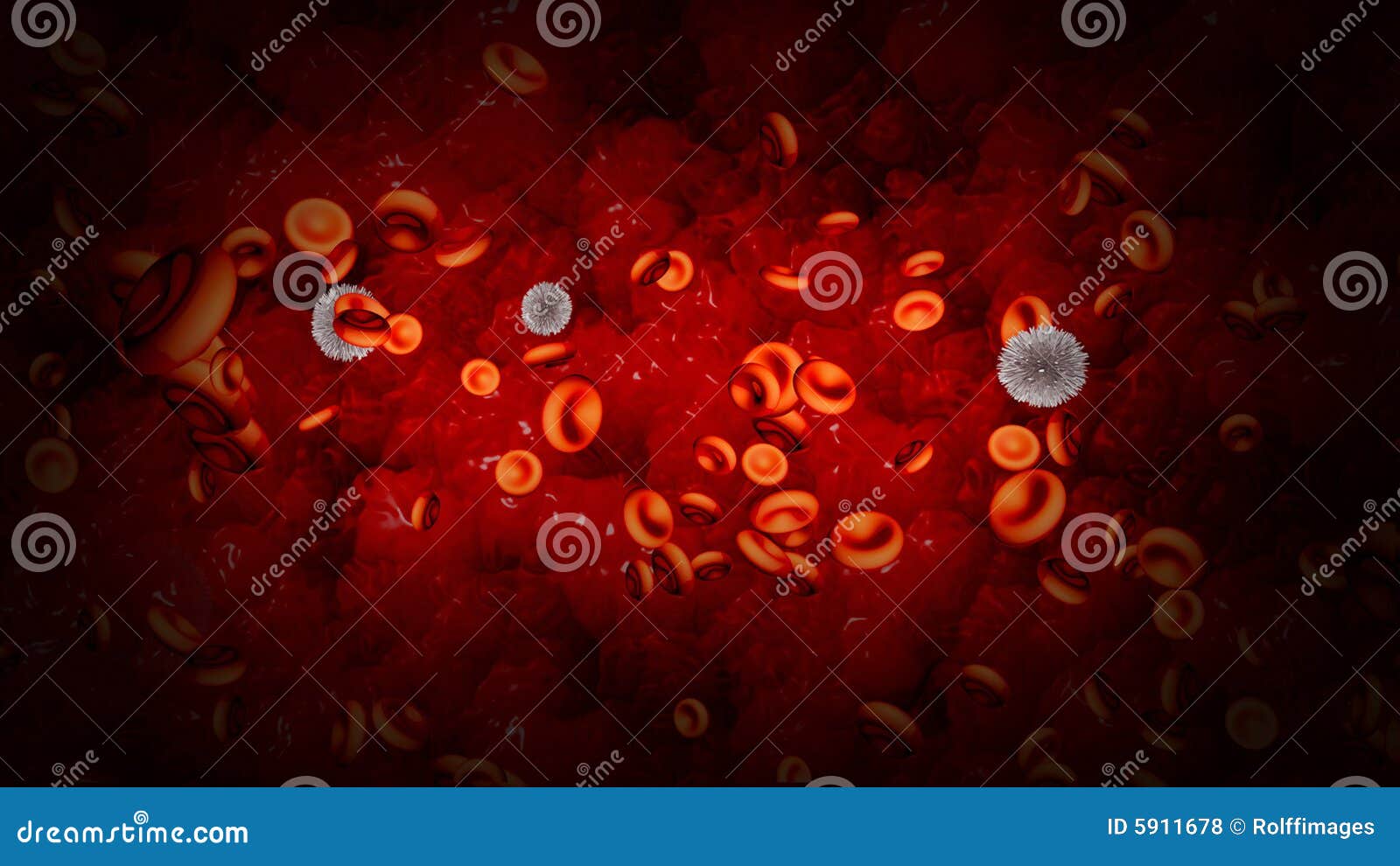 Globules sanguins illustration stock. Illustration du illustration ...
