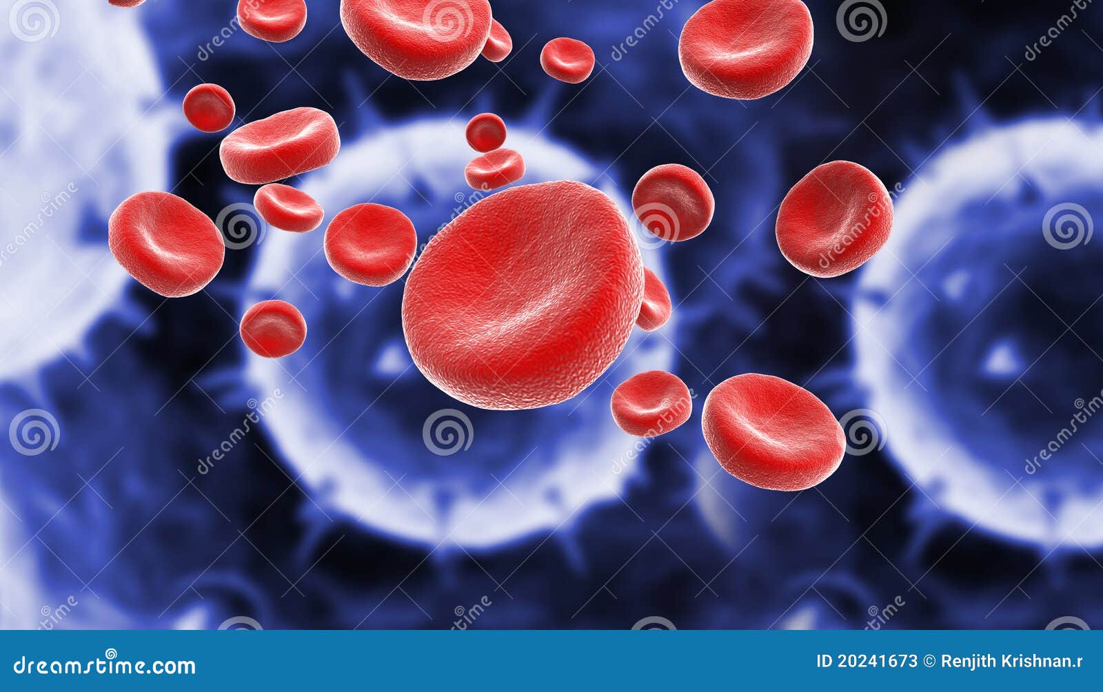Globules Sanguins Avec Le Virus Illustration Stock - Illustration du ...
