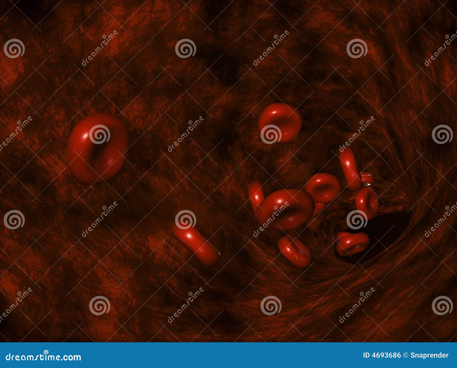 Globules Sanguins Dans La Veine Illustration Stock - Illustration du ...