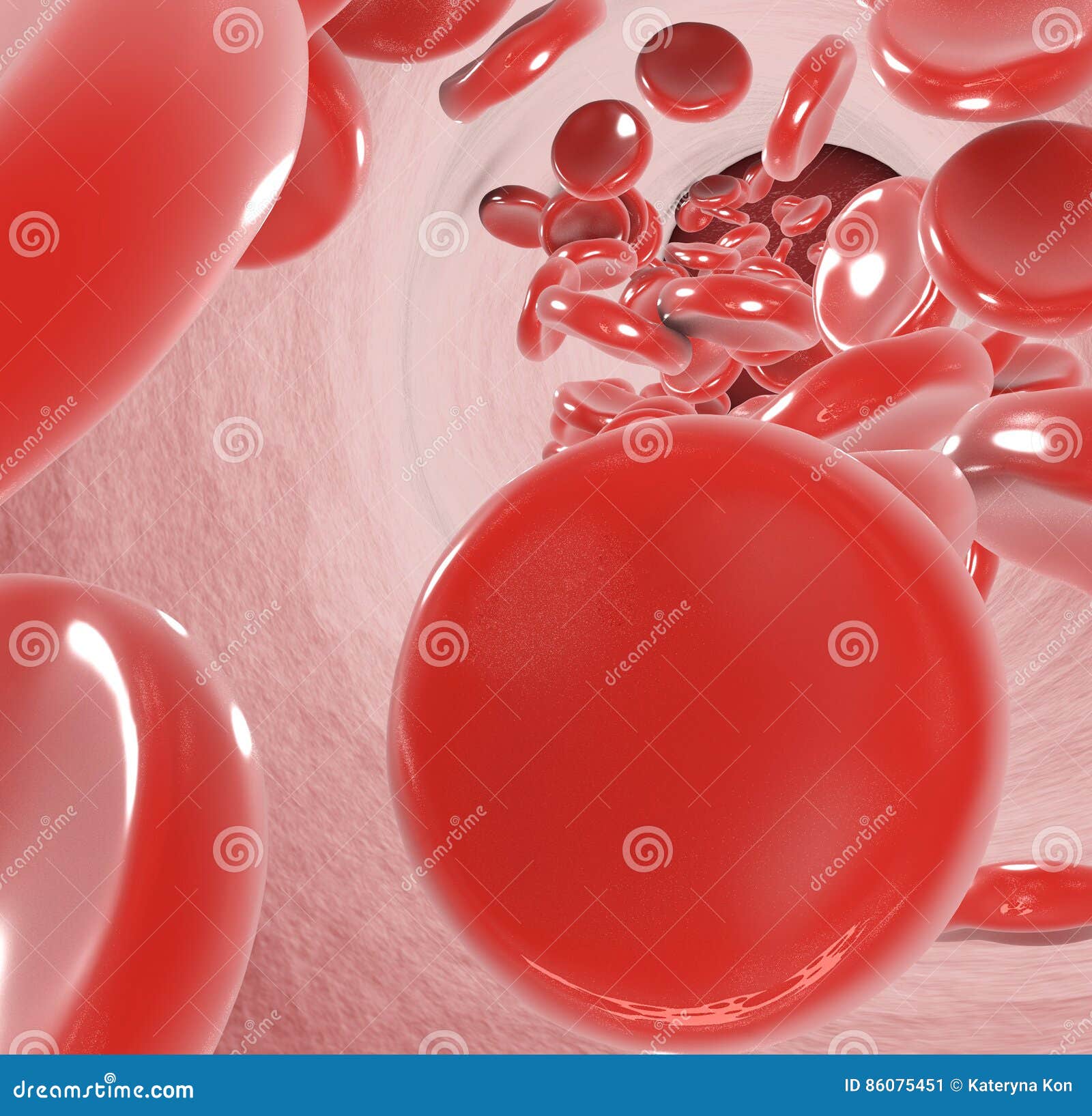 Globules Sanguins, Illustration Illustration Stock - Illustration du ...