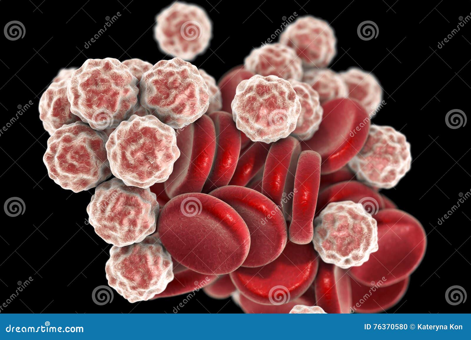 Globules Sanguins, Illustration 3D Photo stock - Image du médical, flux ...