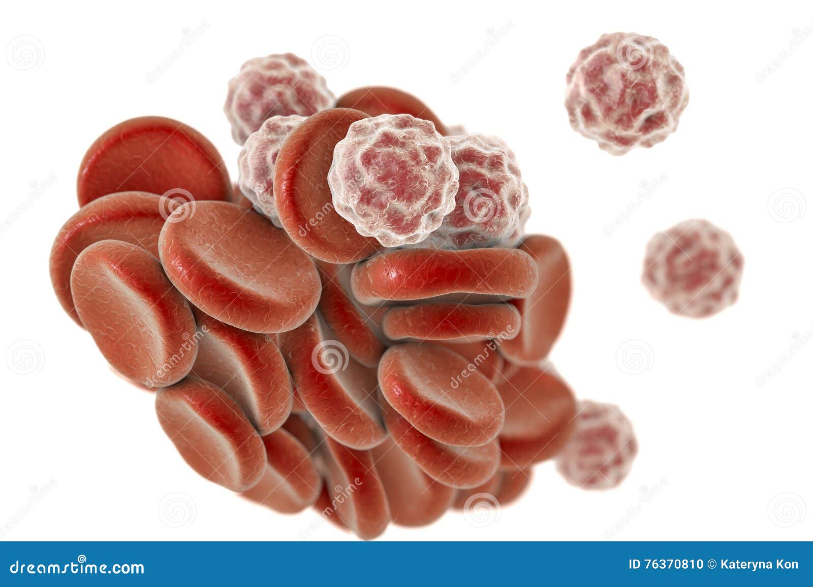 Globules Sanguins, Illustration 3D Illustration Stock - Illustration du ...