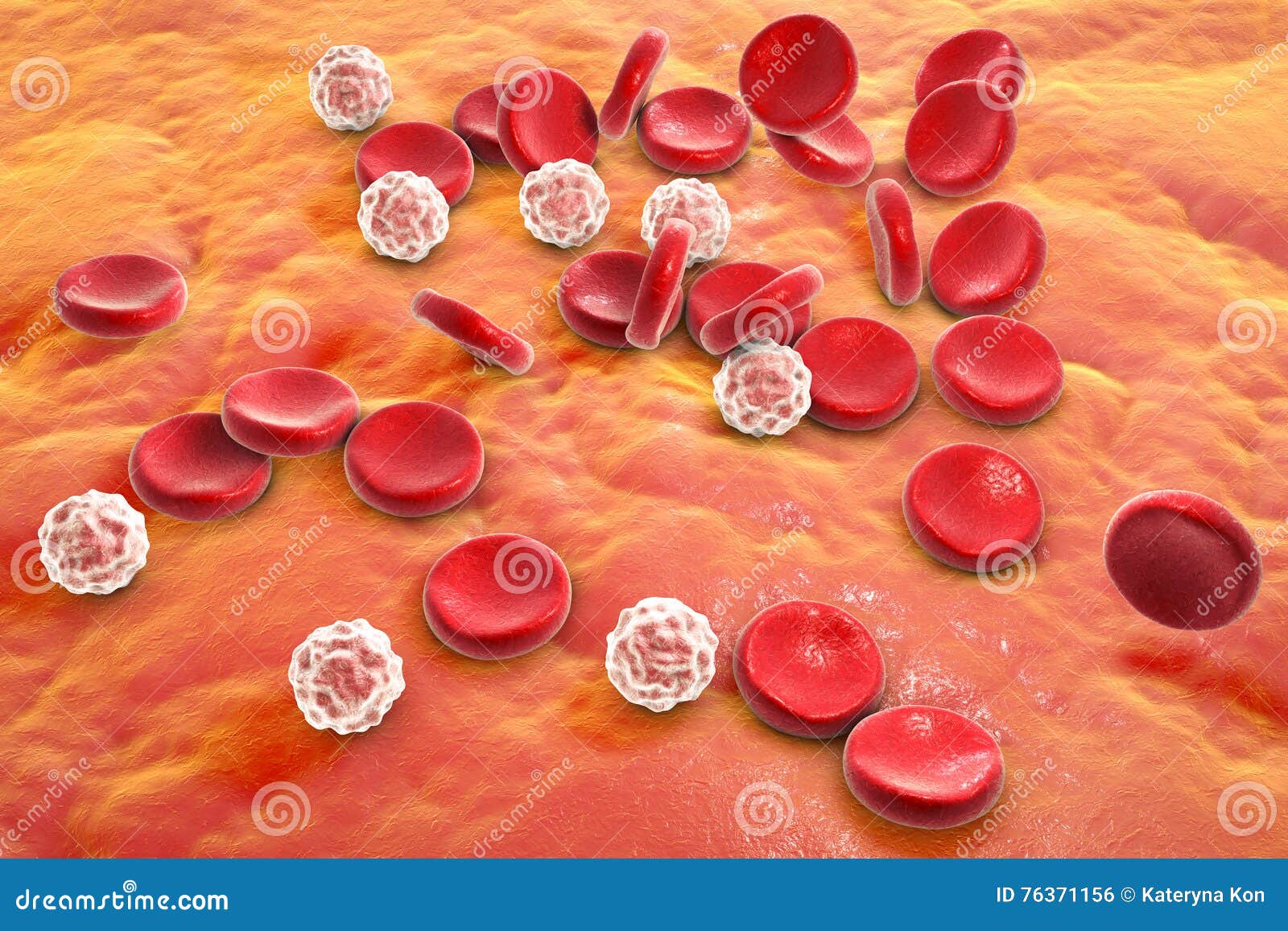Globules Sanguins, Illustration 3D Illustration Stock - Illustration du ...
