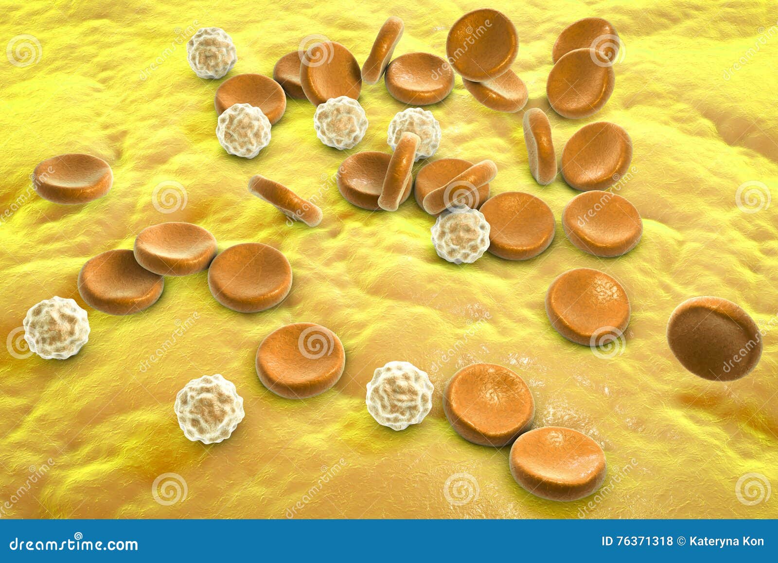 Globules Sanguins, Illustration 3D Illustration Stock - Illustration du ...