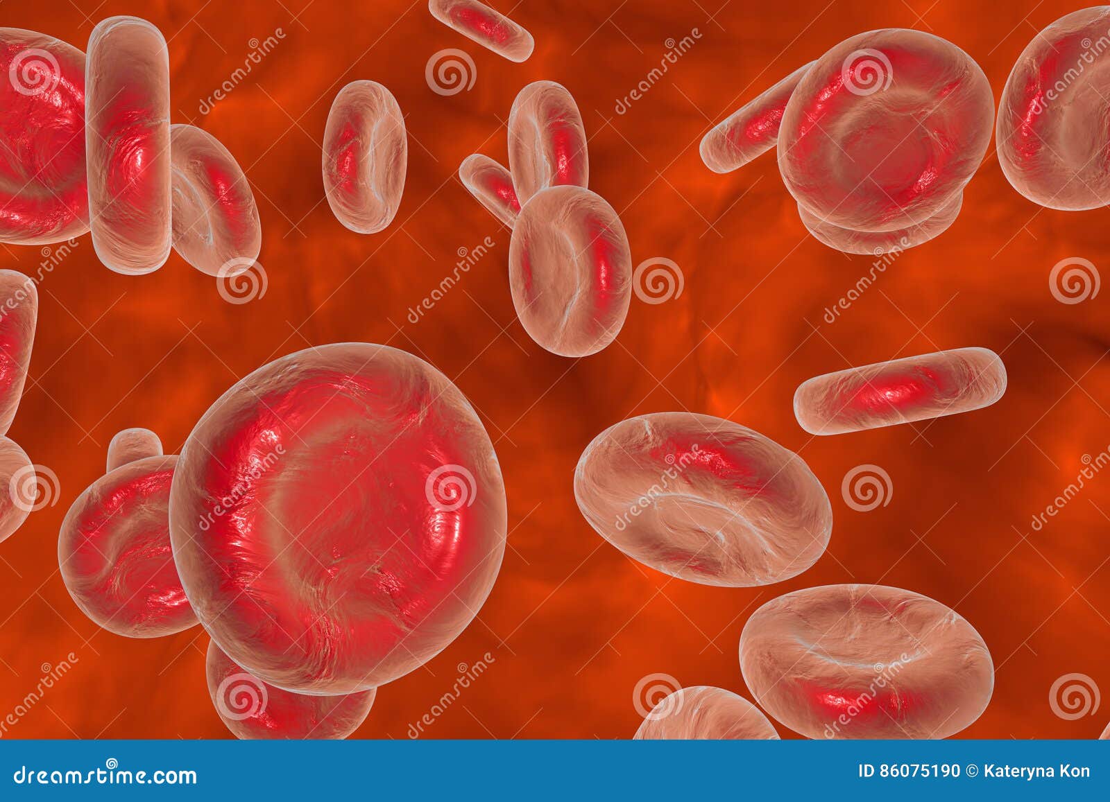Globules Sanguins, Illustration 3D Illustration Stock - Illustration du ...