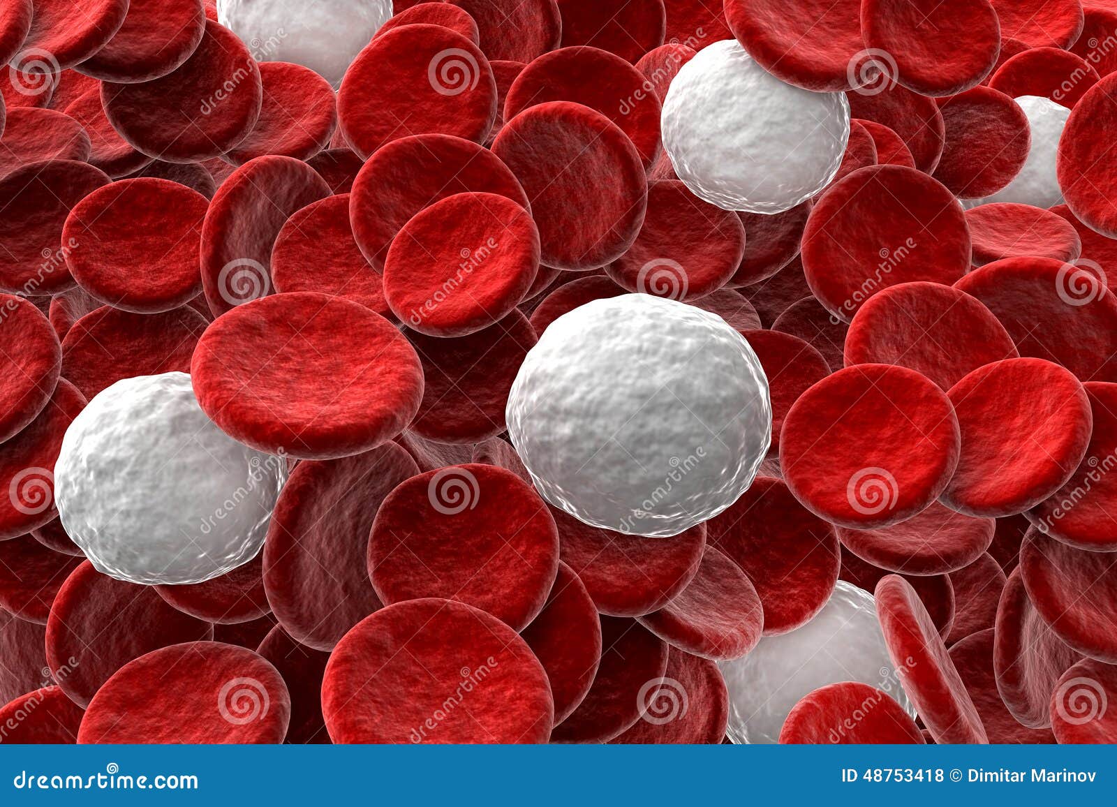 Globules Sanguins Rouges Et Blancs Illustration Stock - Illustration du ...