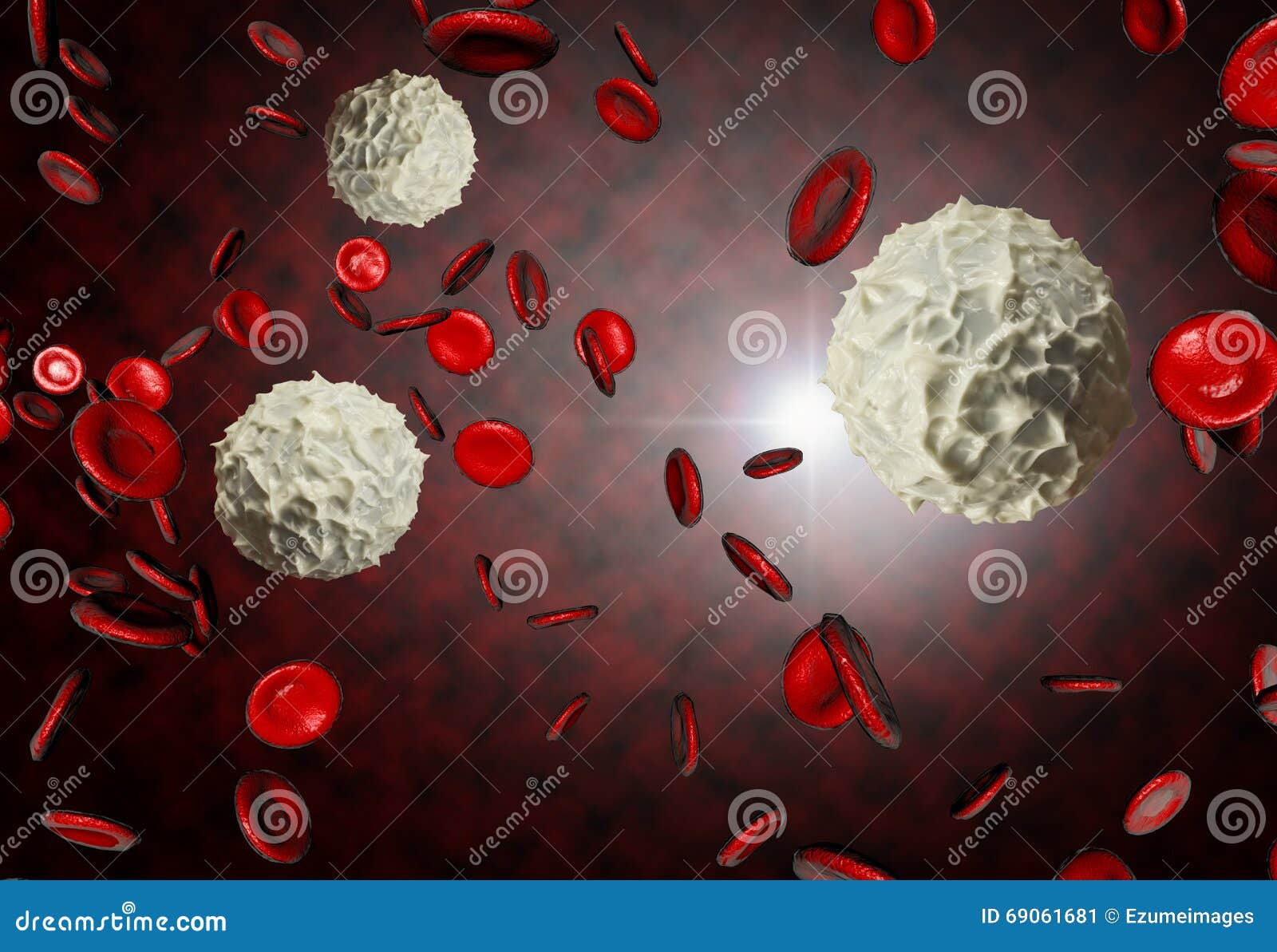 Globules Sanguins Rouges Et Blancs Image stock - Image du rouge ...
