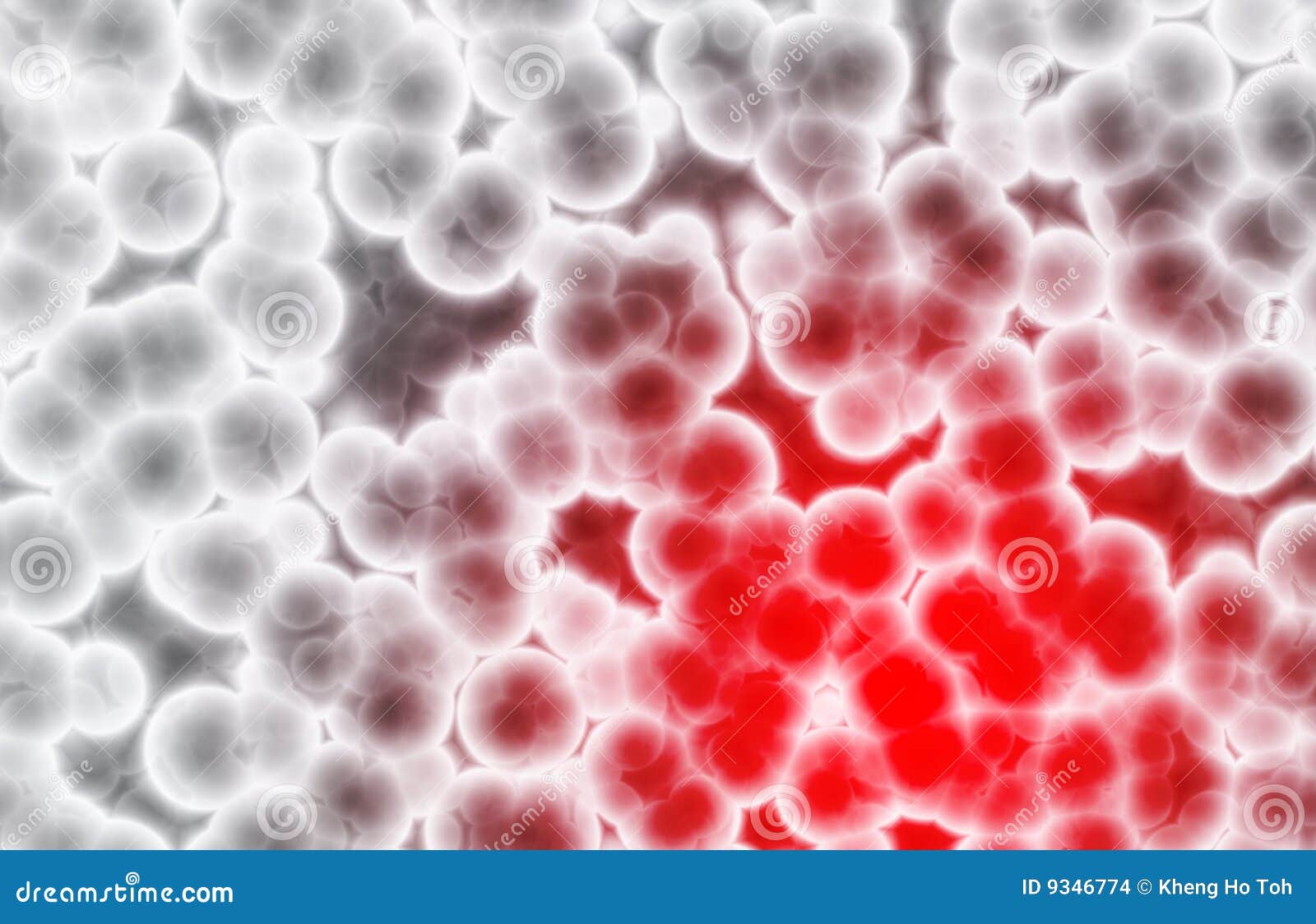 Globules Sanguins Rouges Et Blancs Illustration Stock - Illustration du ...