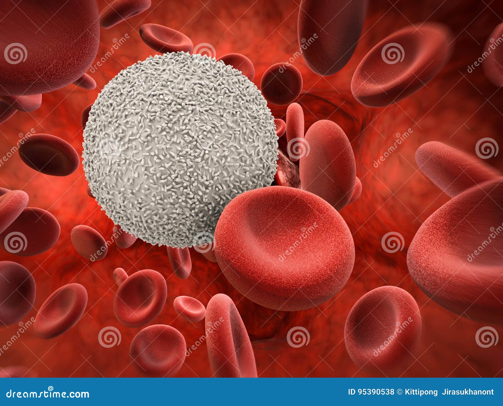 Globuli Bianchi Con I Globuli Rossi Illustrazione di Stock ...