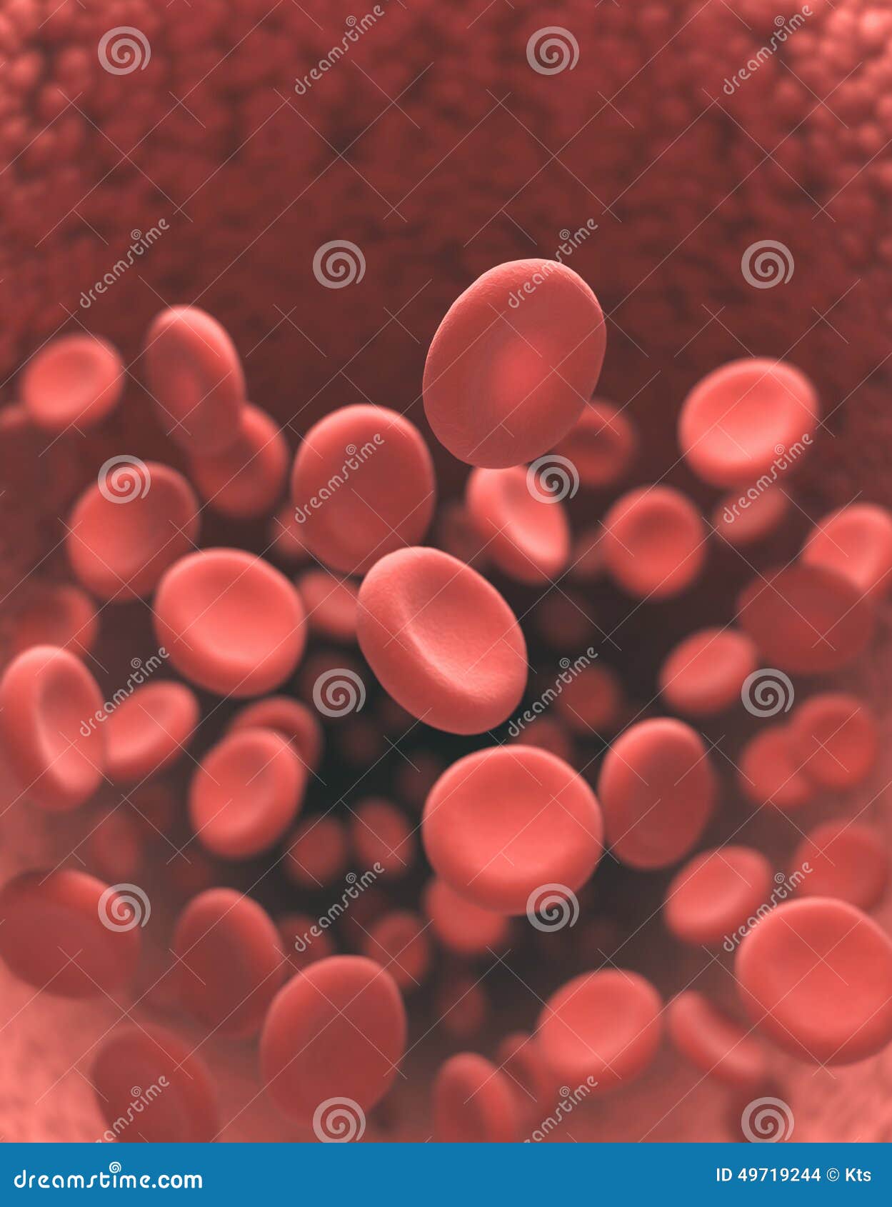 Globuli rossi fotografia stock. Immagine di macro, grumo - 49719244