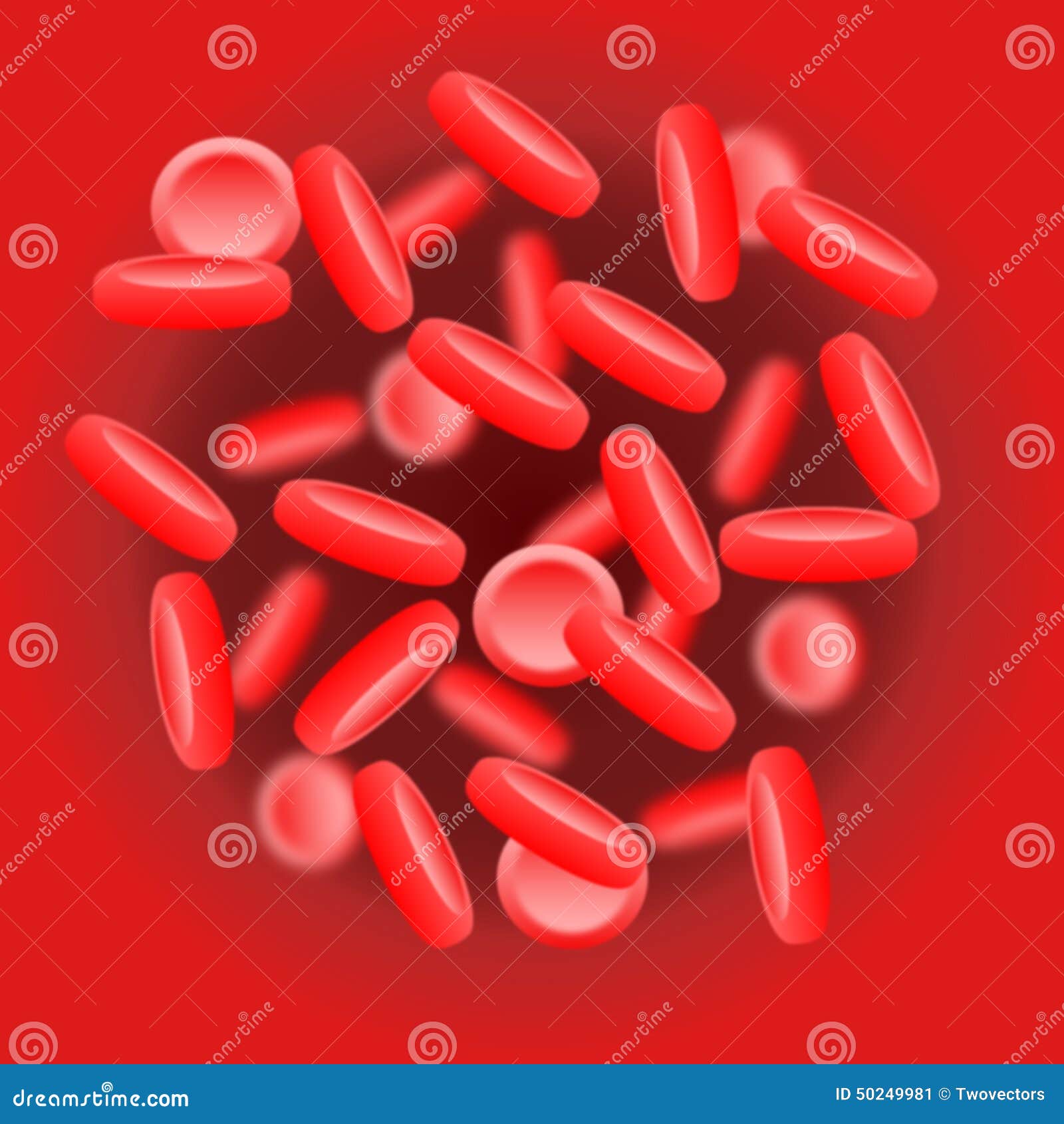 Globuli Rossi (eritrociti) Nell'aorta Illustrazione di Stock ...