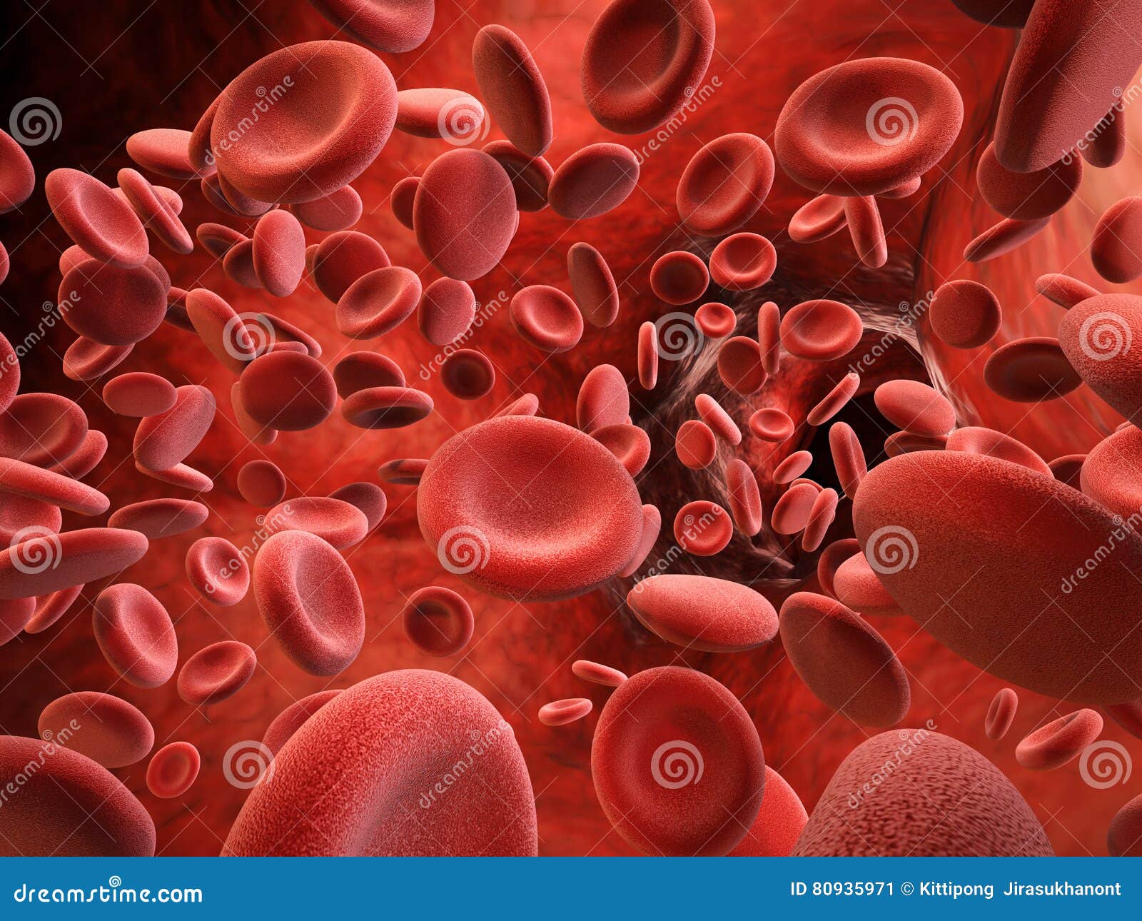 Globuli rossi in vena immagine stock. Immagine di biologia - 80935971