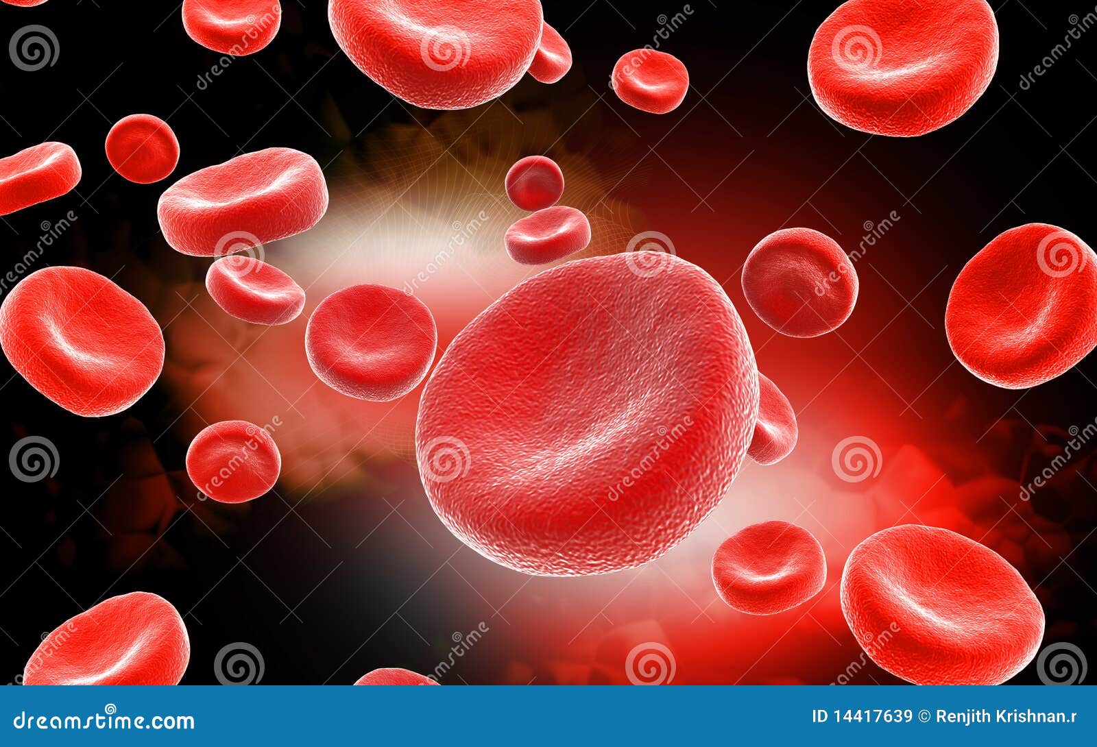 Globulo rosso illustrazione di stock. Illustrazione di umano - 14417639