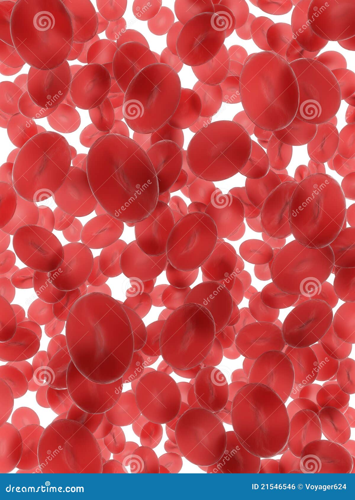 Globulo rosso illustrazione di stock. Illustrazione di malato - 21546546