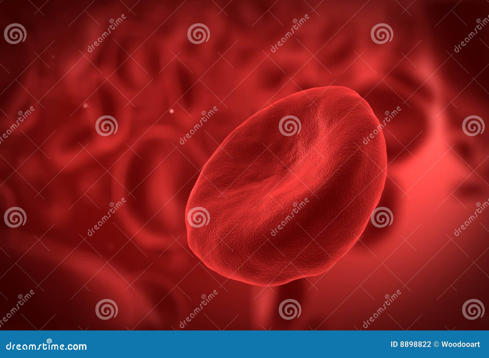 Globulo rosso illustrazione di stock. Illustrazione di renda - 8898822
