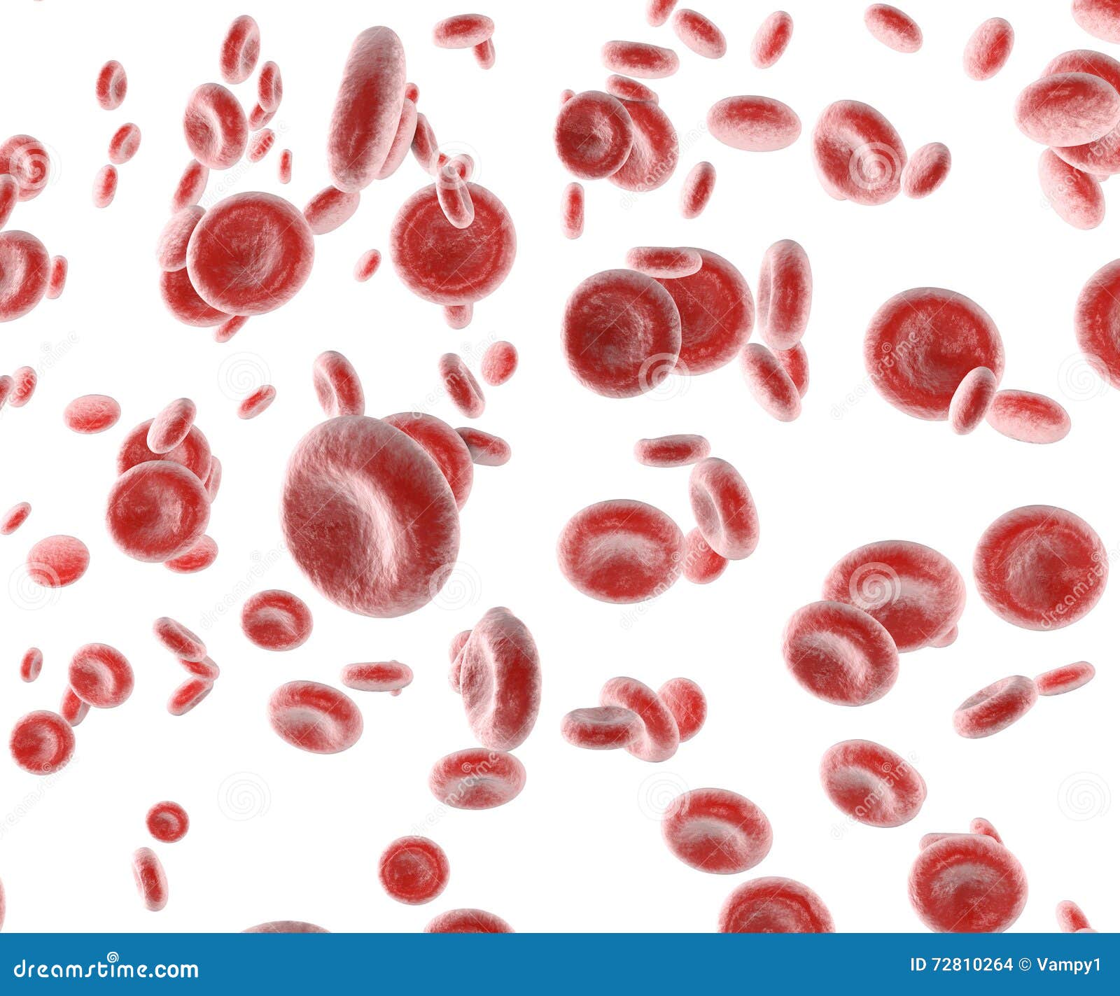 Globulo Rosso, Cellula Dell'eritrocito, Flusso Del Globulo Rosso ...