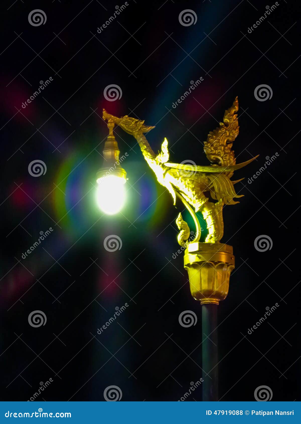 Gloden swan light stock photo. Image of gloden, light - 47919088