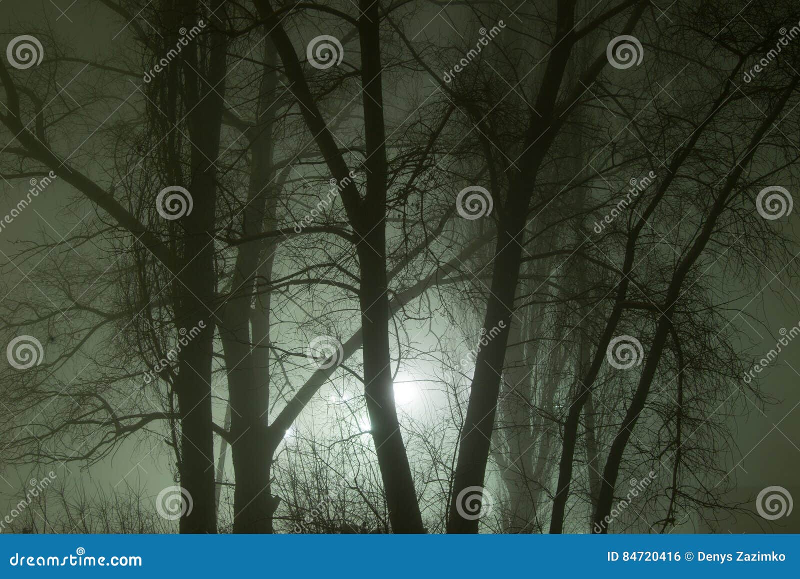 Gloom Branches of Tree in the Fog Stock Photo - Image of fantasy ...