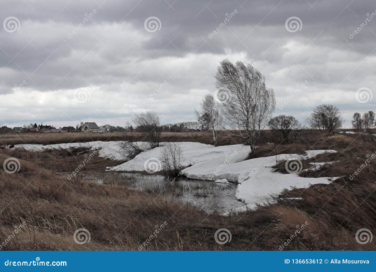 Gloomy Cold Spring in Siberia Cloudy Landscape Melts Snow in the Fields ...