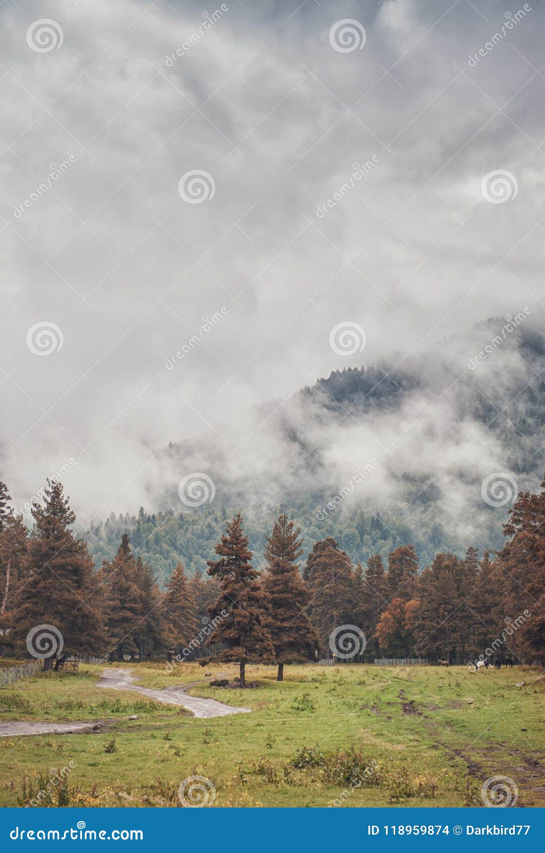Gloomy Landscape with Mountains in Clouds and Forest Stock Photo ...