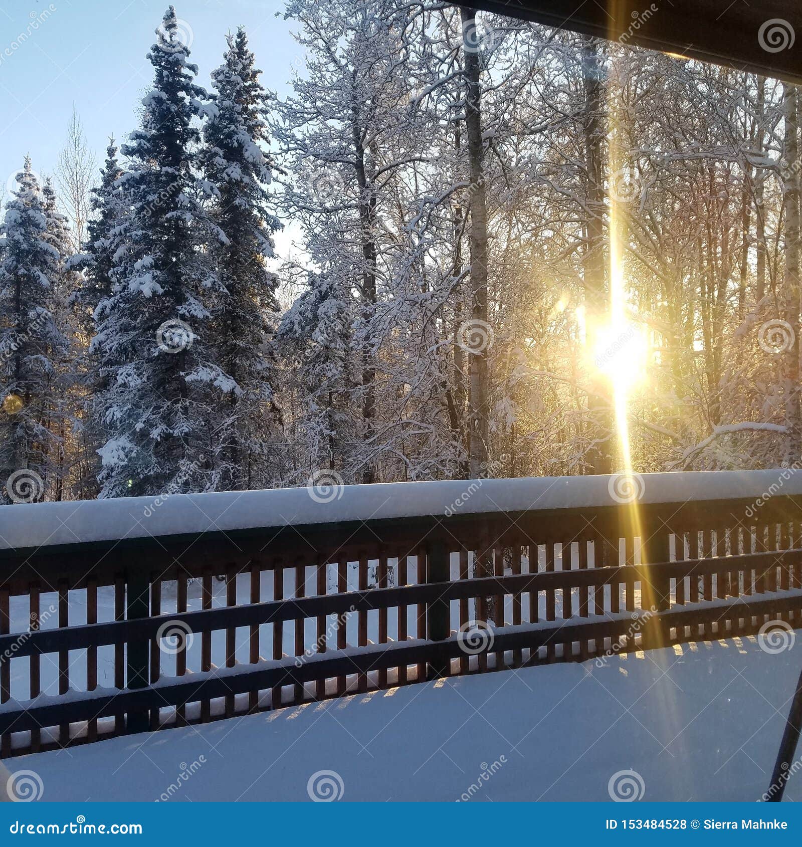 Glorious day stock photo. Image of sunrise, refreshing - 153484528