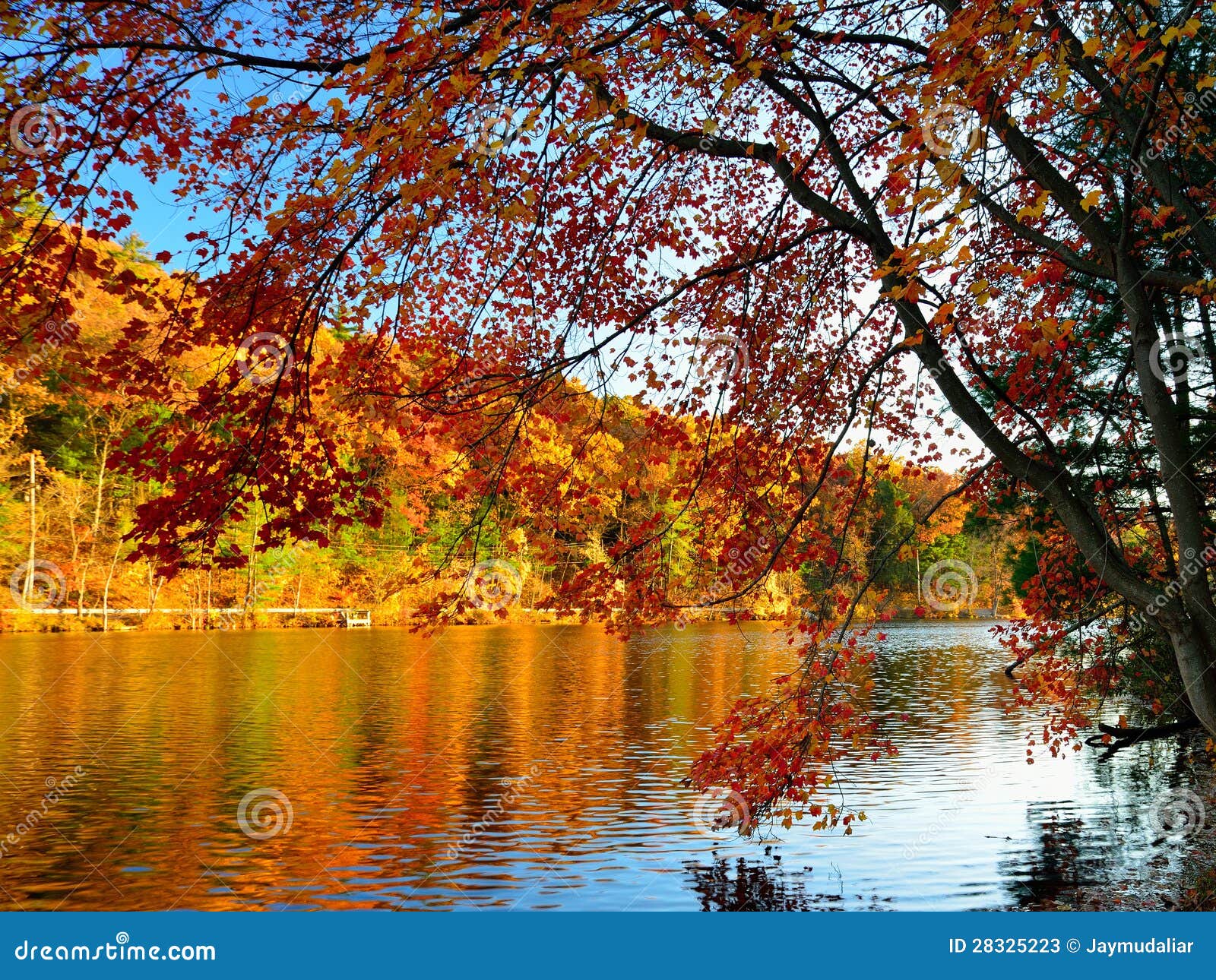 1,012 Glorious Fall Colors Stock Photos - Free & Royalty-Free Stock ...