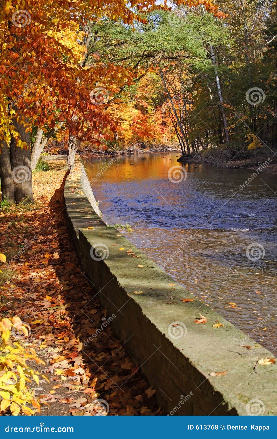 Glorious Fall Colors by Water Stock Photo - Image of sparkling, october ...