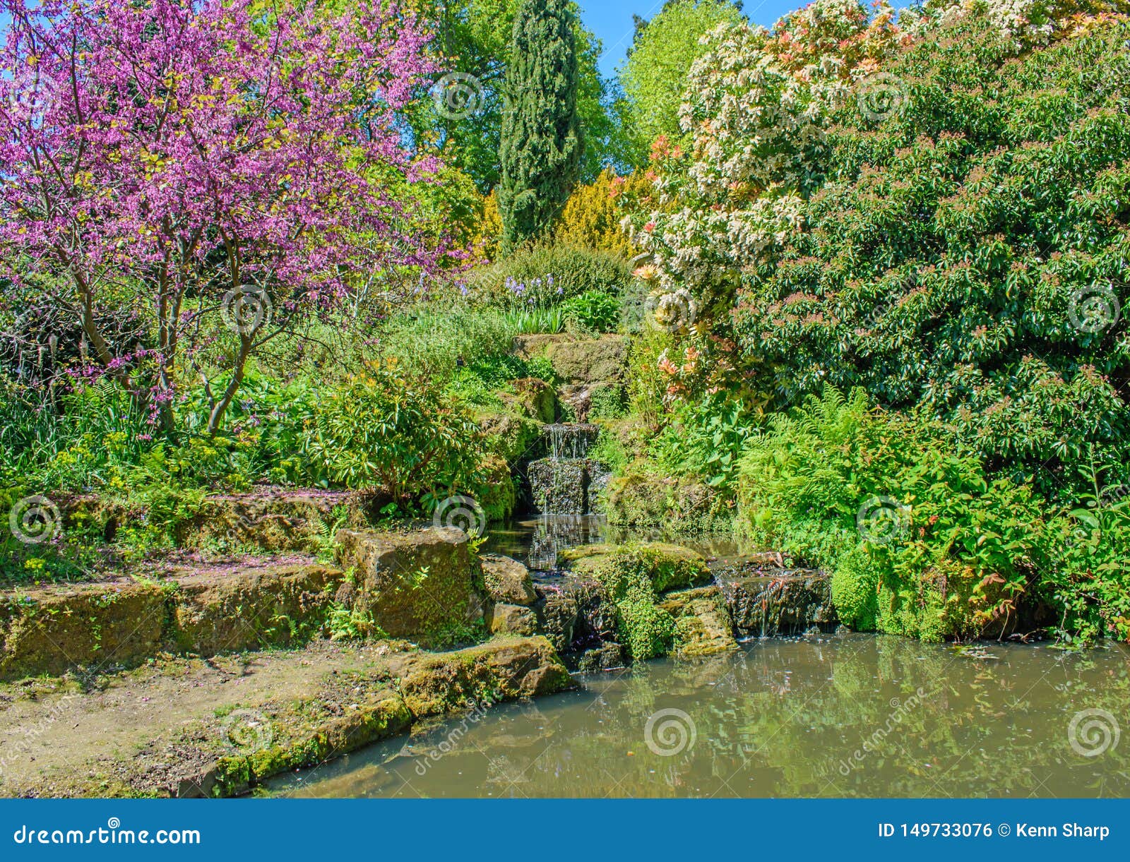 The Glorious Garden Waterfall Stock Photo - Image of waterfall, flowers ...