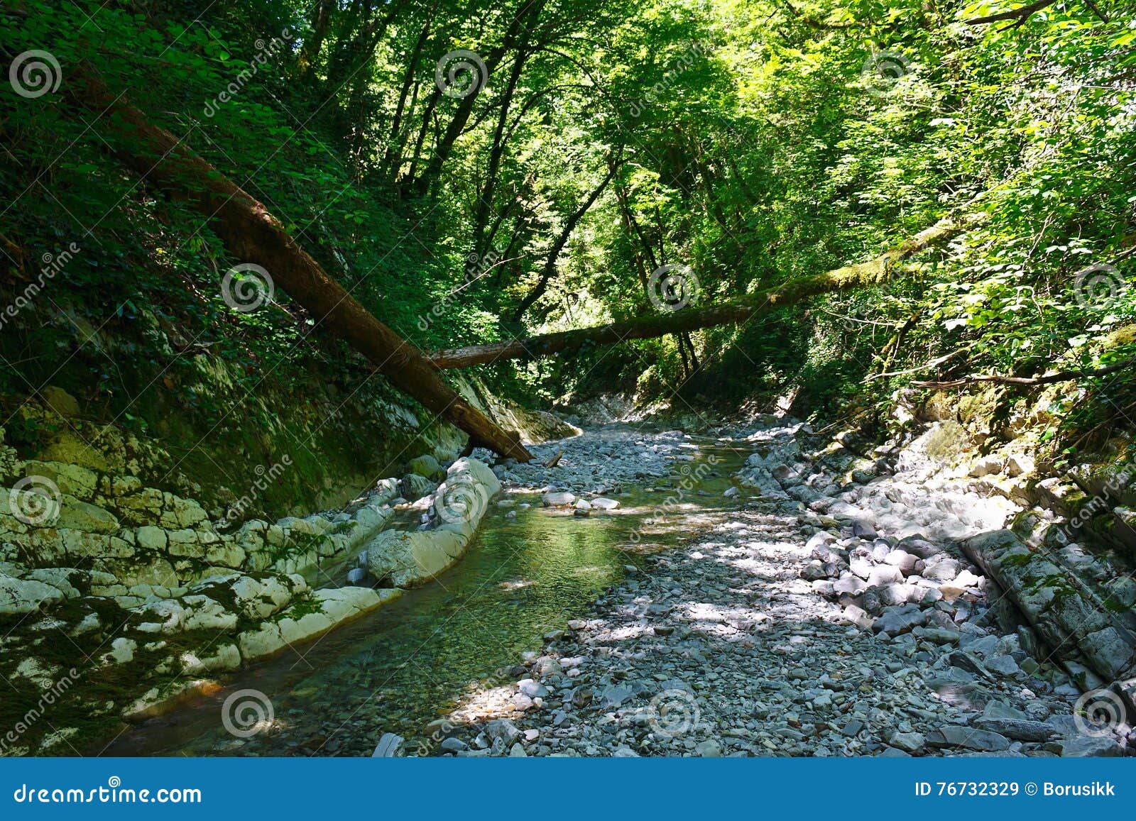 Glorious Refreshing Waterfall Waterfall In Fairy Forest Among Gorge ...