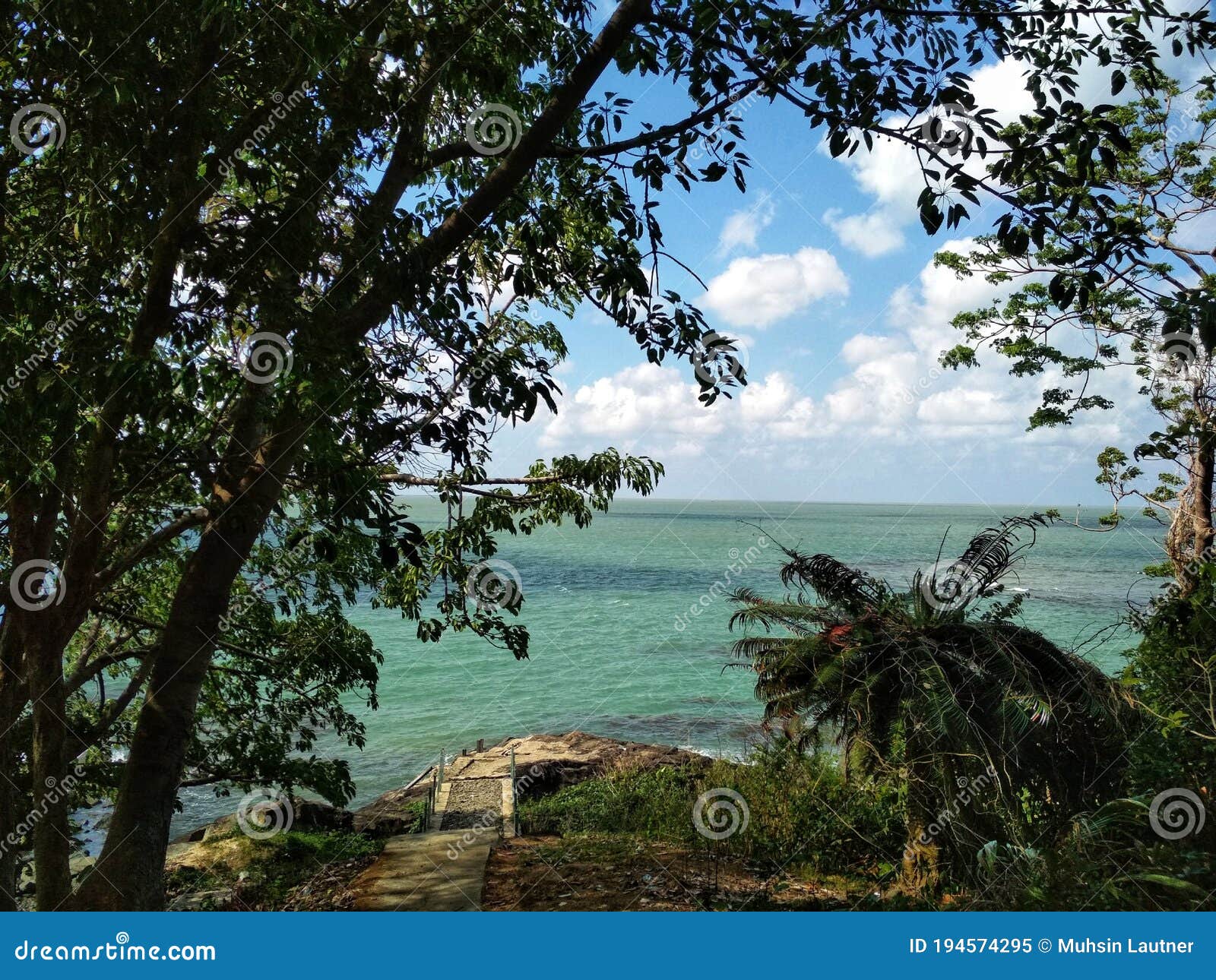 Glorious Ocean View stock image. Image of flower, green - 194574295