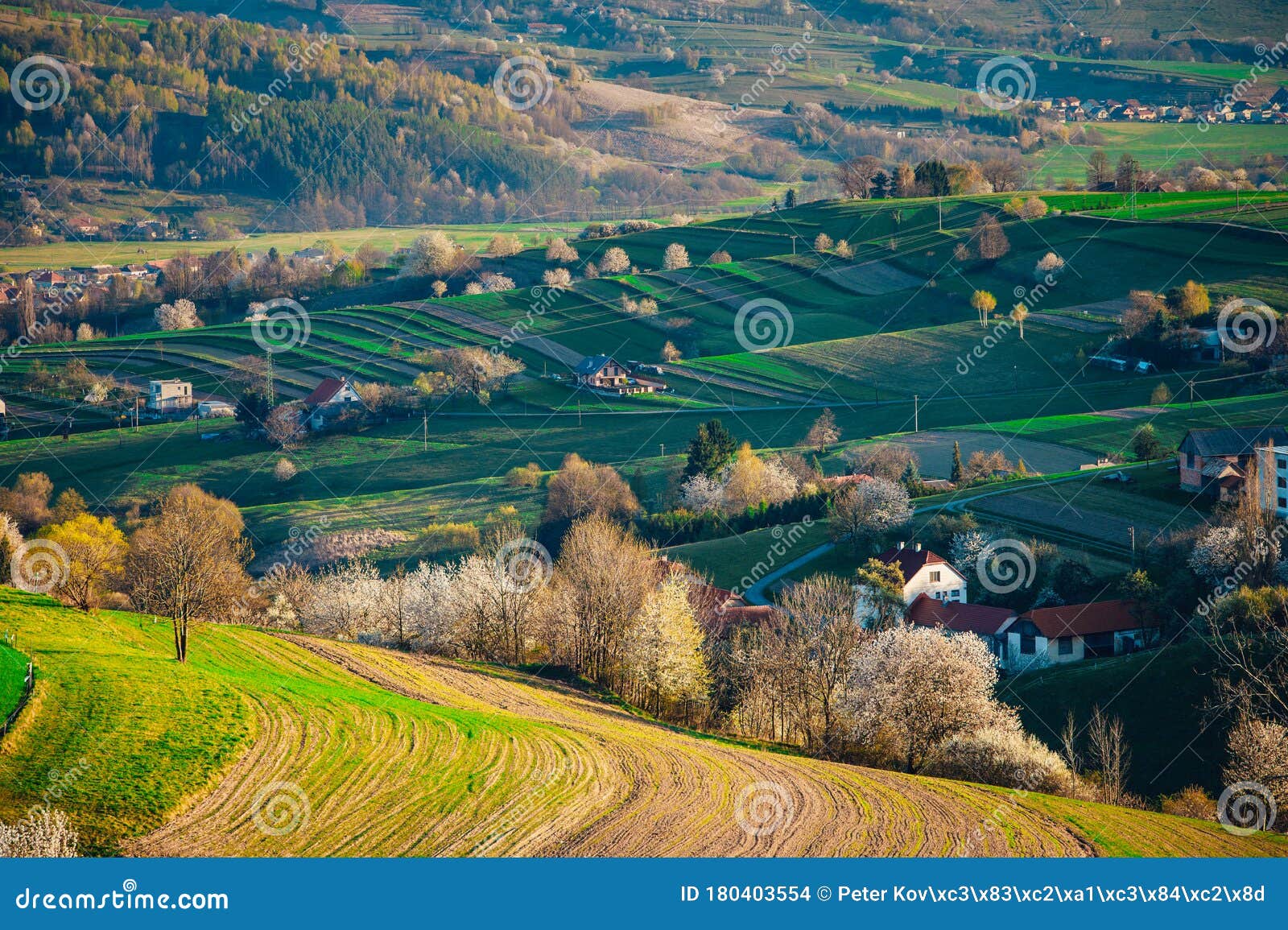 Glorious Sunrise Over Grassy Spring Rural Landscape Stock Photo - Image ...