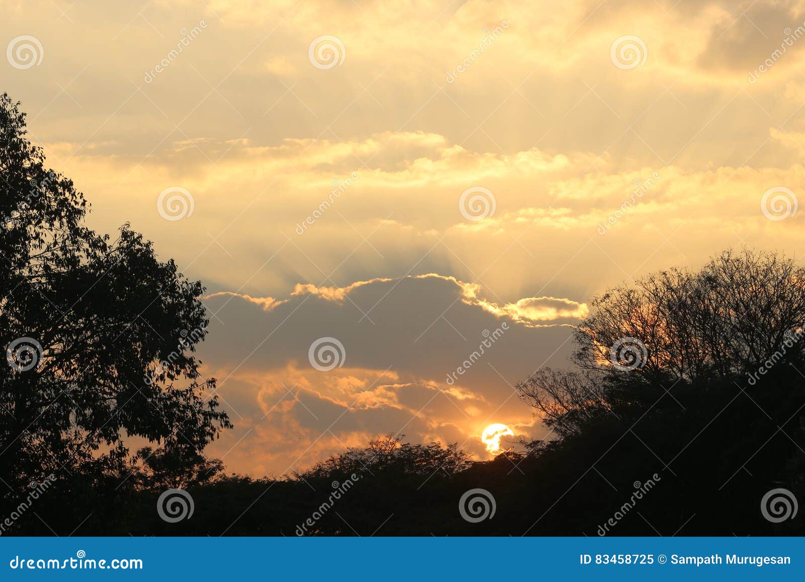 Glorious Sunset with Sun Glowing Stock Image - Image of sunray, park ...