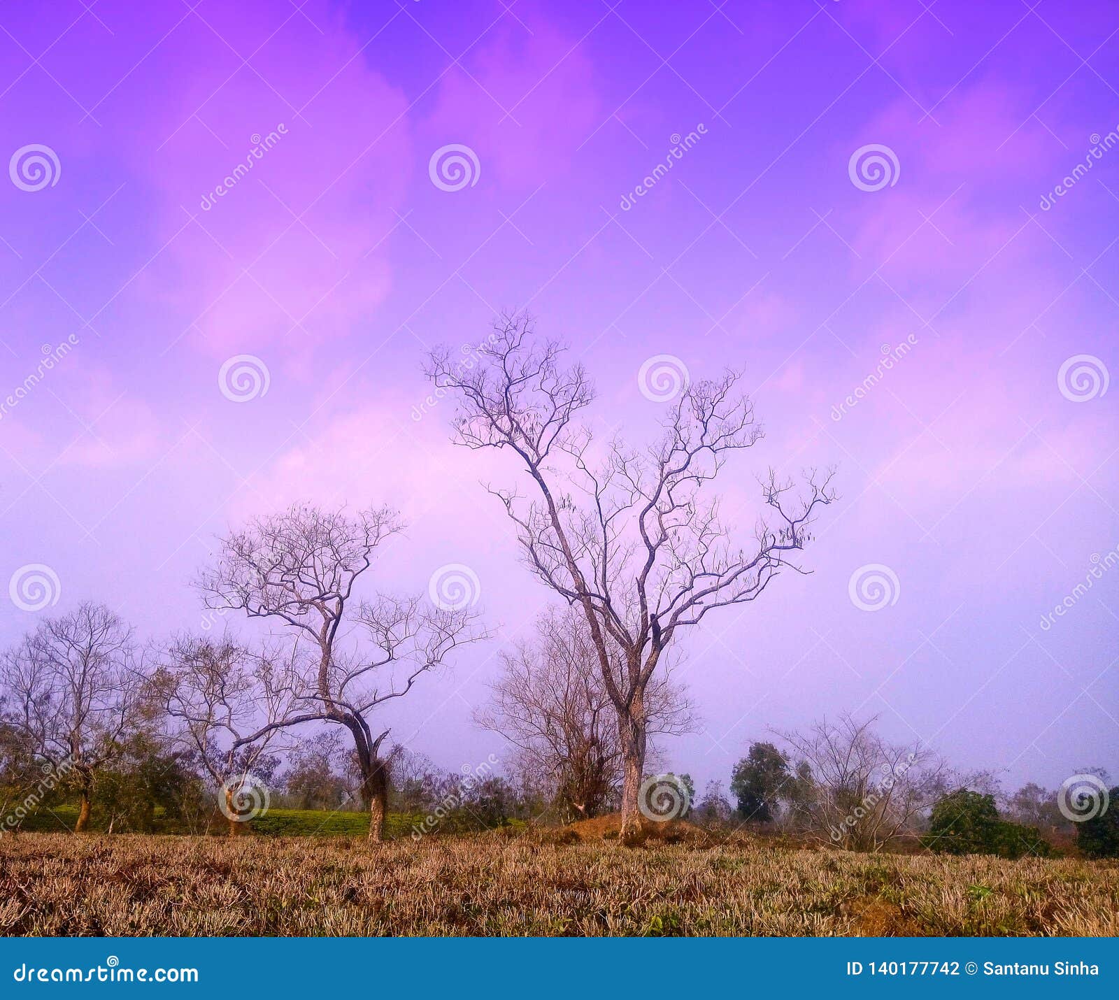 Glory of nature. stock photo. Image of season, scenery - 140177742