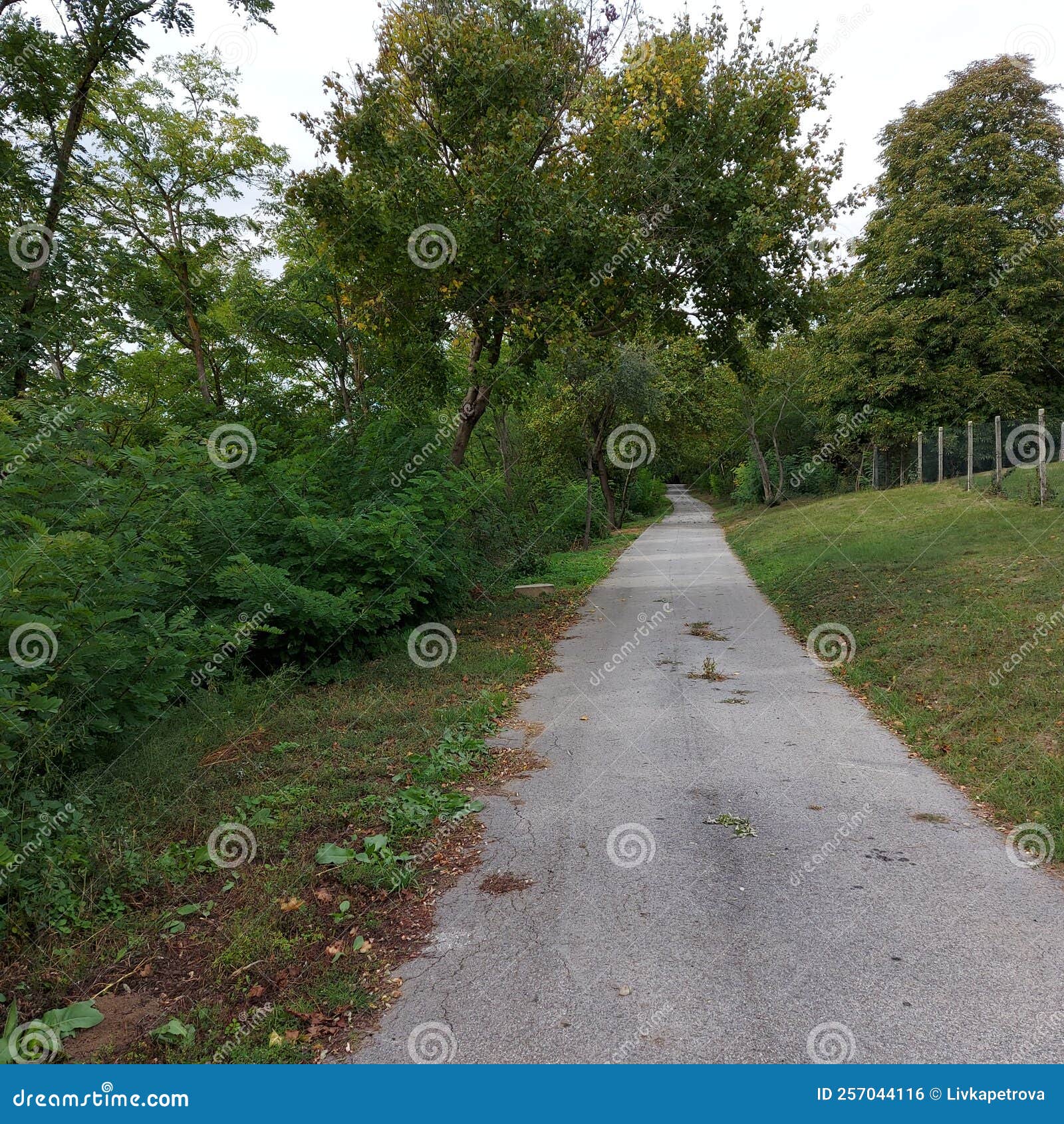 Glory and Silent Long Path among the Cemetery Photo Stock Photo - Image ...