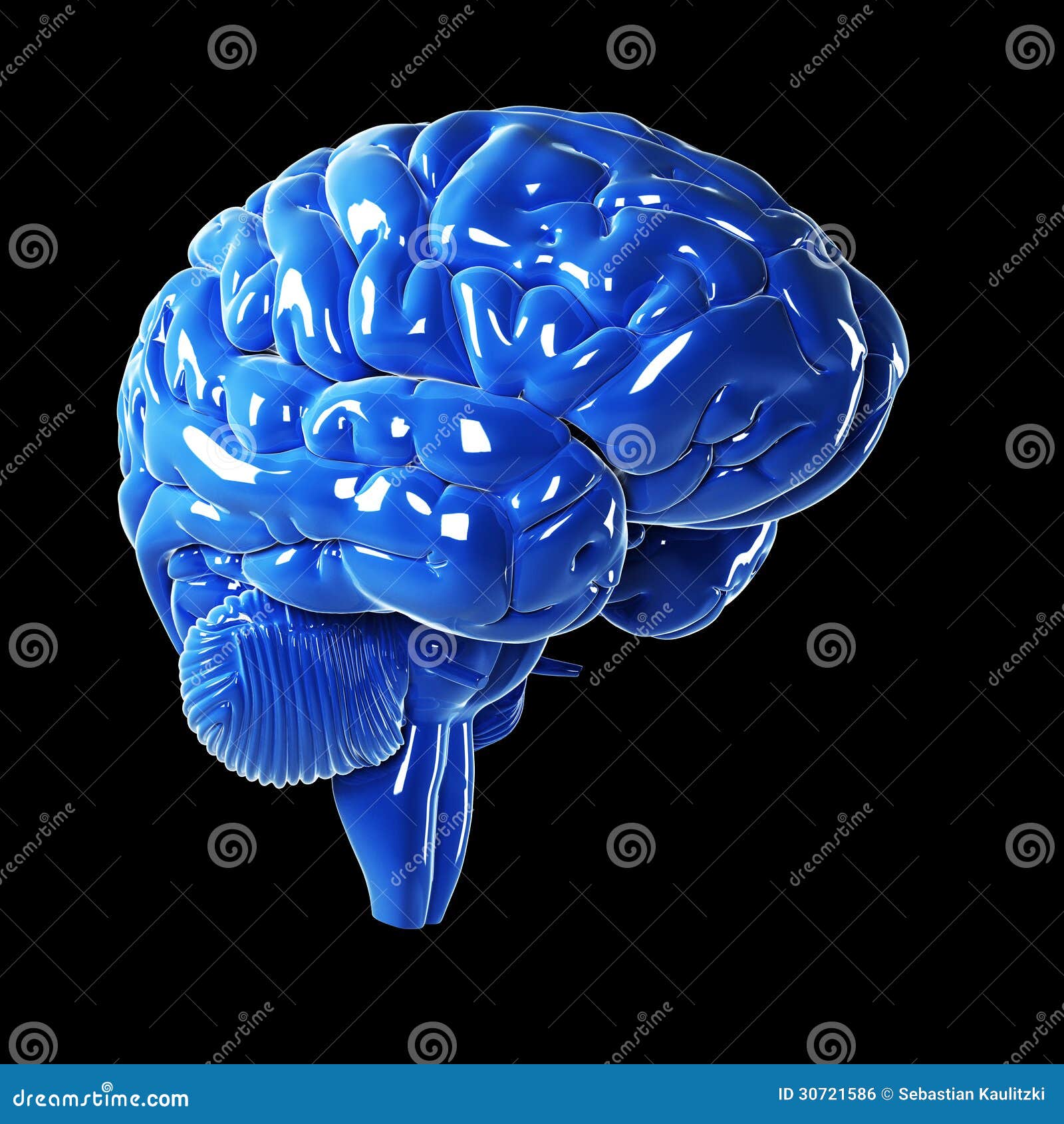 Glossy blue brain stock illustration. Illustration of element - 30721586