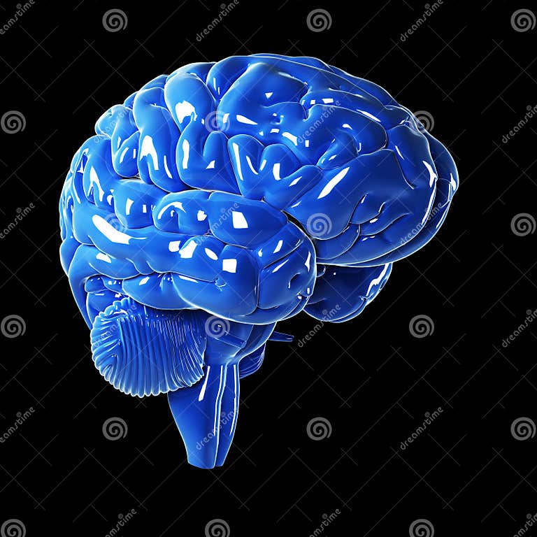 Glossy blue brain stock illustration. Illustration of element - 30721586