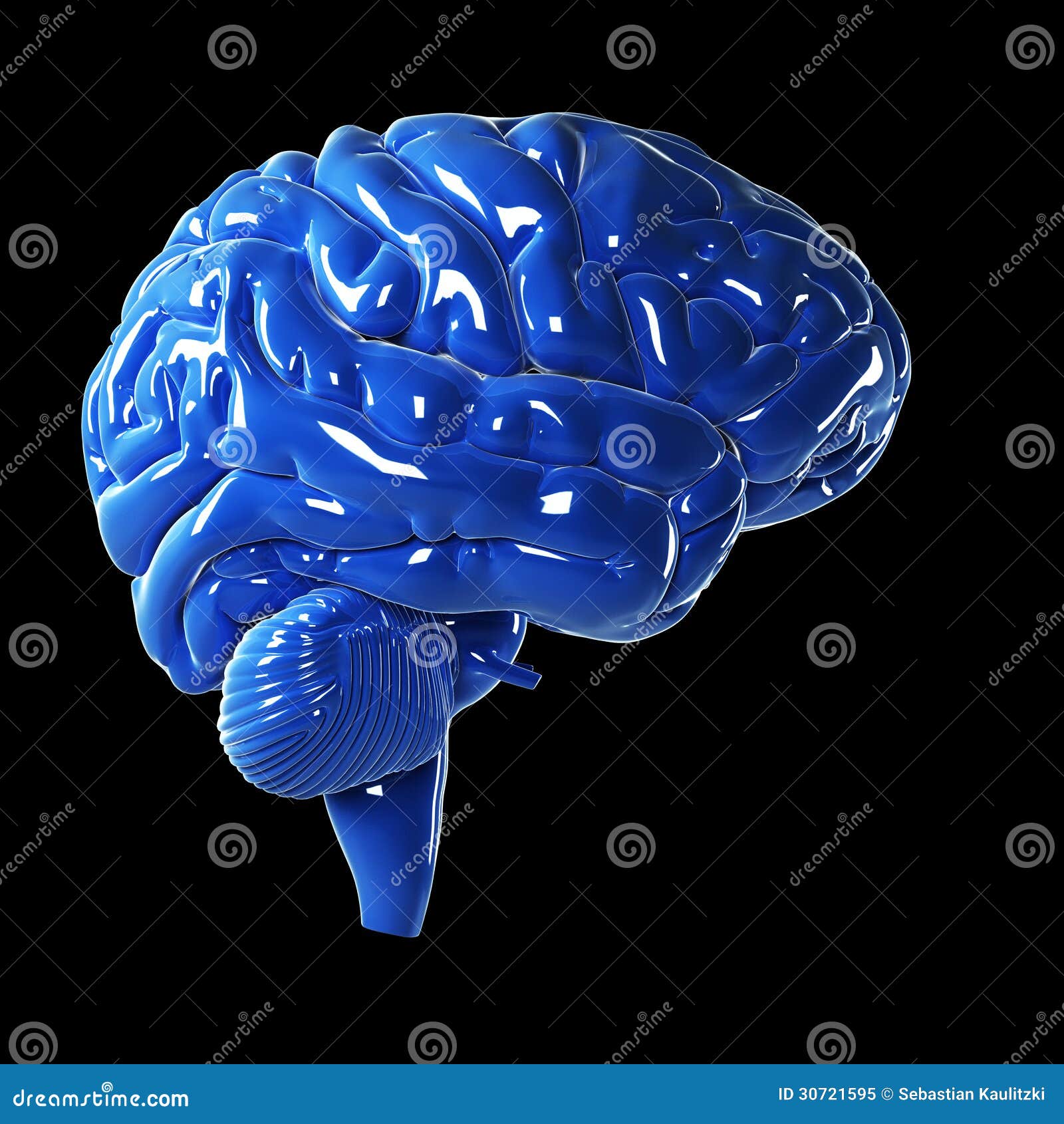 Glossy blue brain stock illustration. Illustration of neurology - 30721595