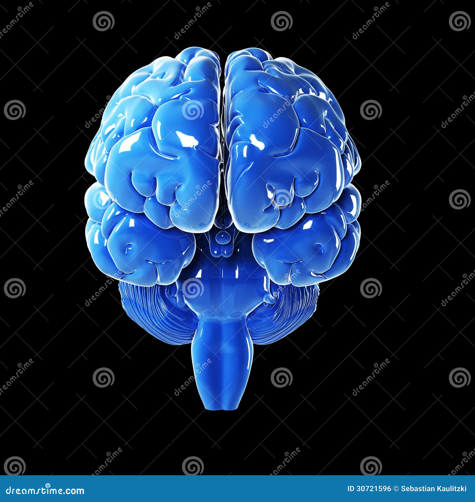 Glossy blue brain stock illustration. Illustration of model - 30721596