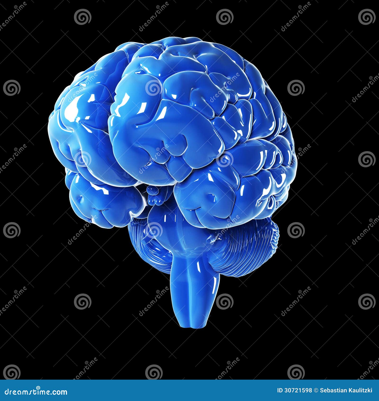 Blue 3D Brain On White Background. Concept Of Artificial Intelligence ...