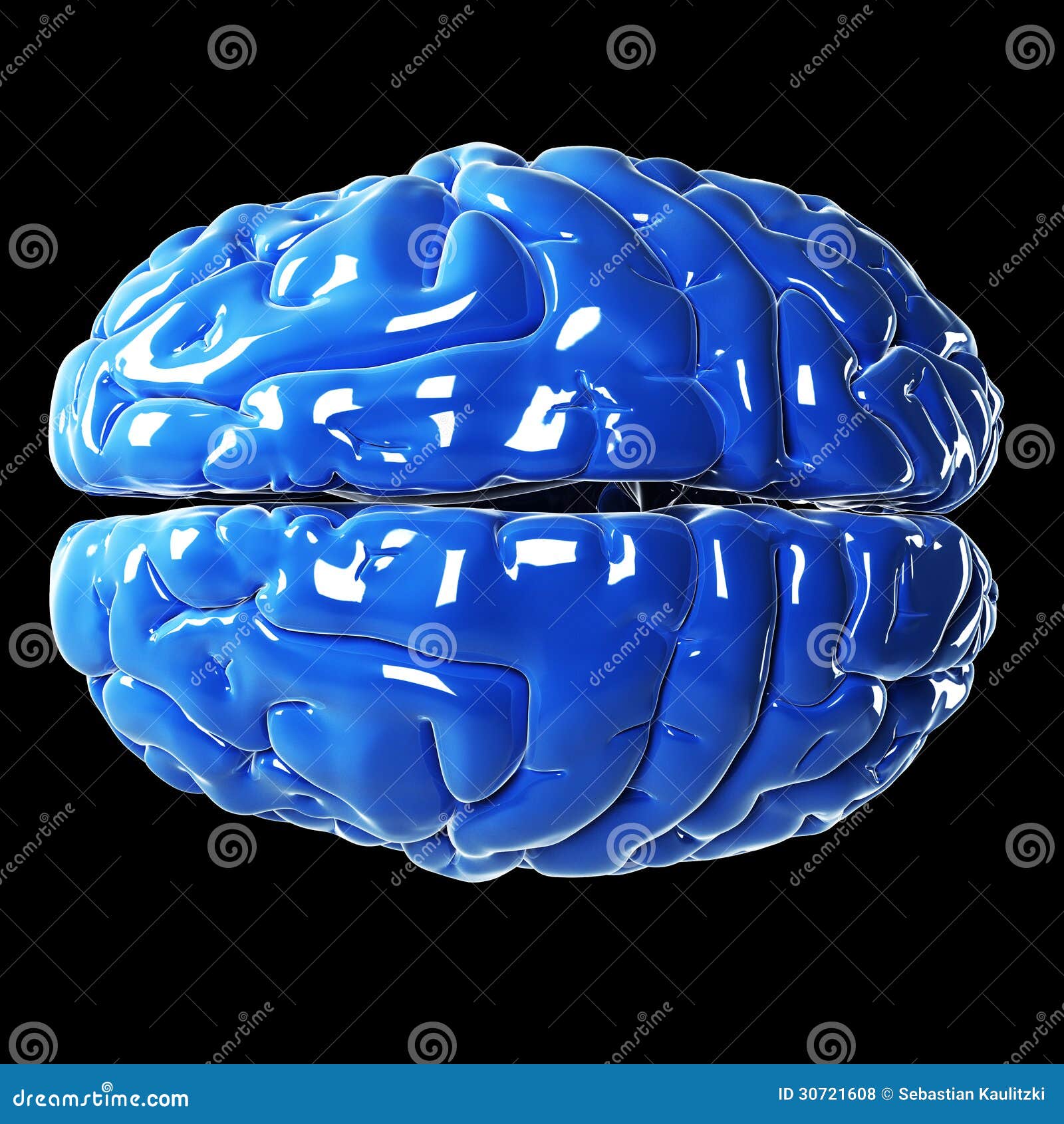 Blue 3D Brain On White Background. Concept Of Artificial Intelligence ...