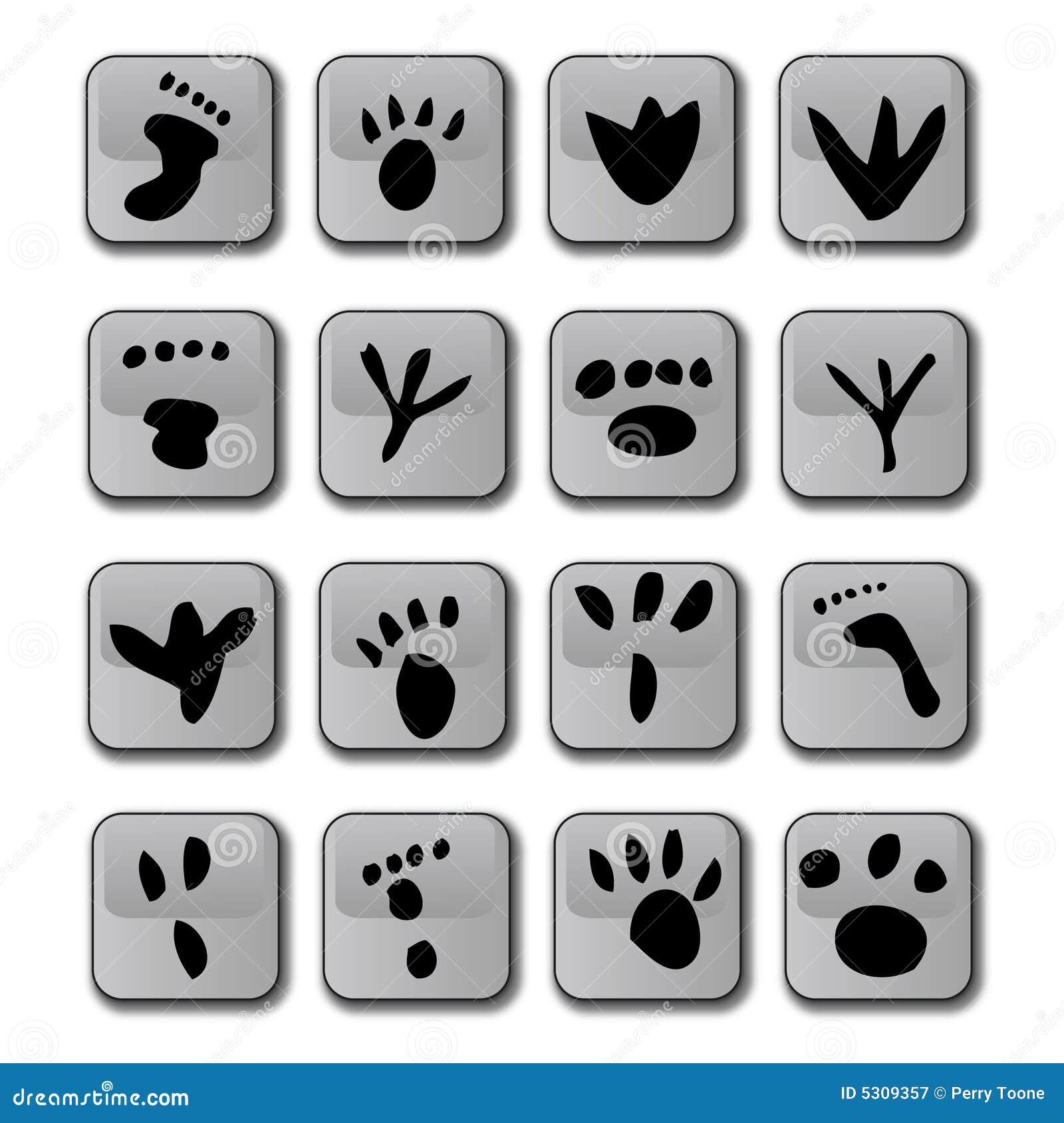 Foot Type Vector Detailed Concept With Germanic, Celtic, Greek And ...