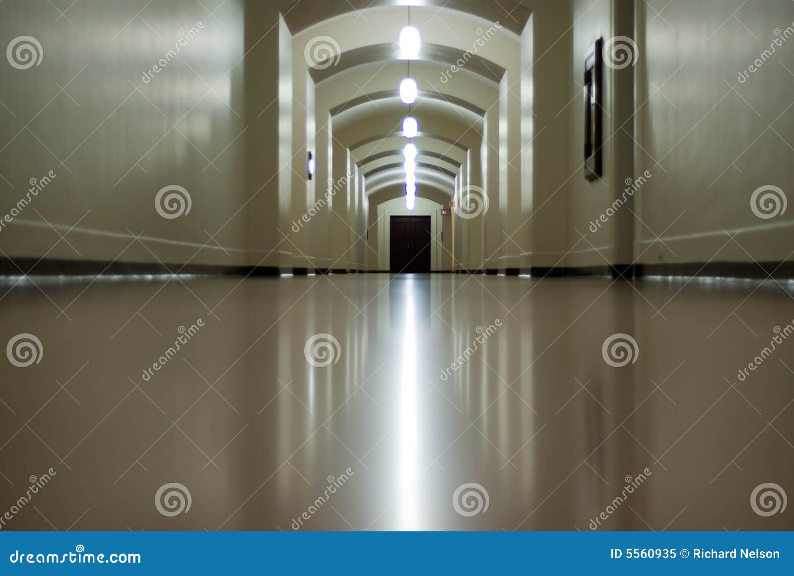 Glossy Hallway stock image. Image of reflect, reflections - 5560935