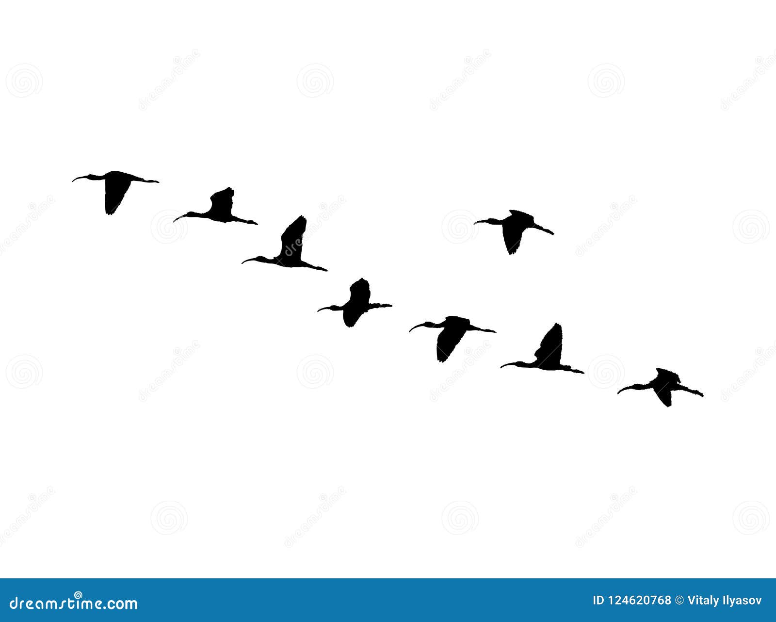Glossy Ibis Wedge in Flight. Vector Silhouette a Flock of Birds Stock ...