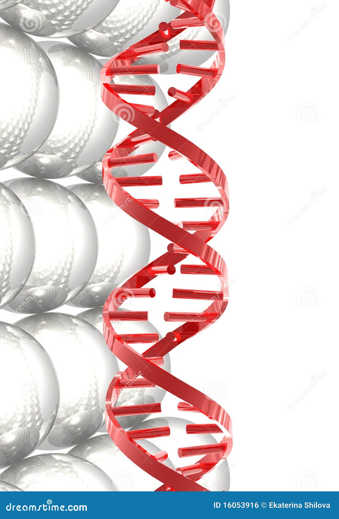 Glossy White Spheres and Red DNA Structure Stock Illustration ...